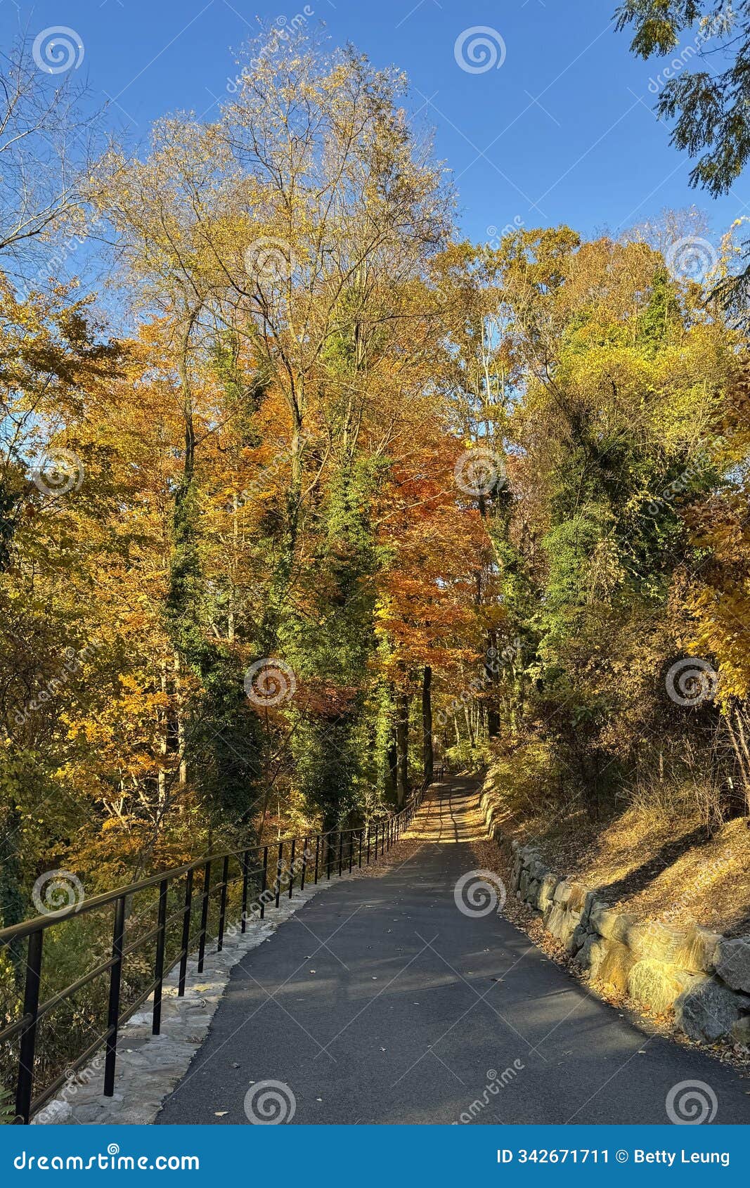 Colorful Autumn Foliage in Bronx River Parkway Reservation in New York ...
