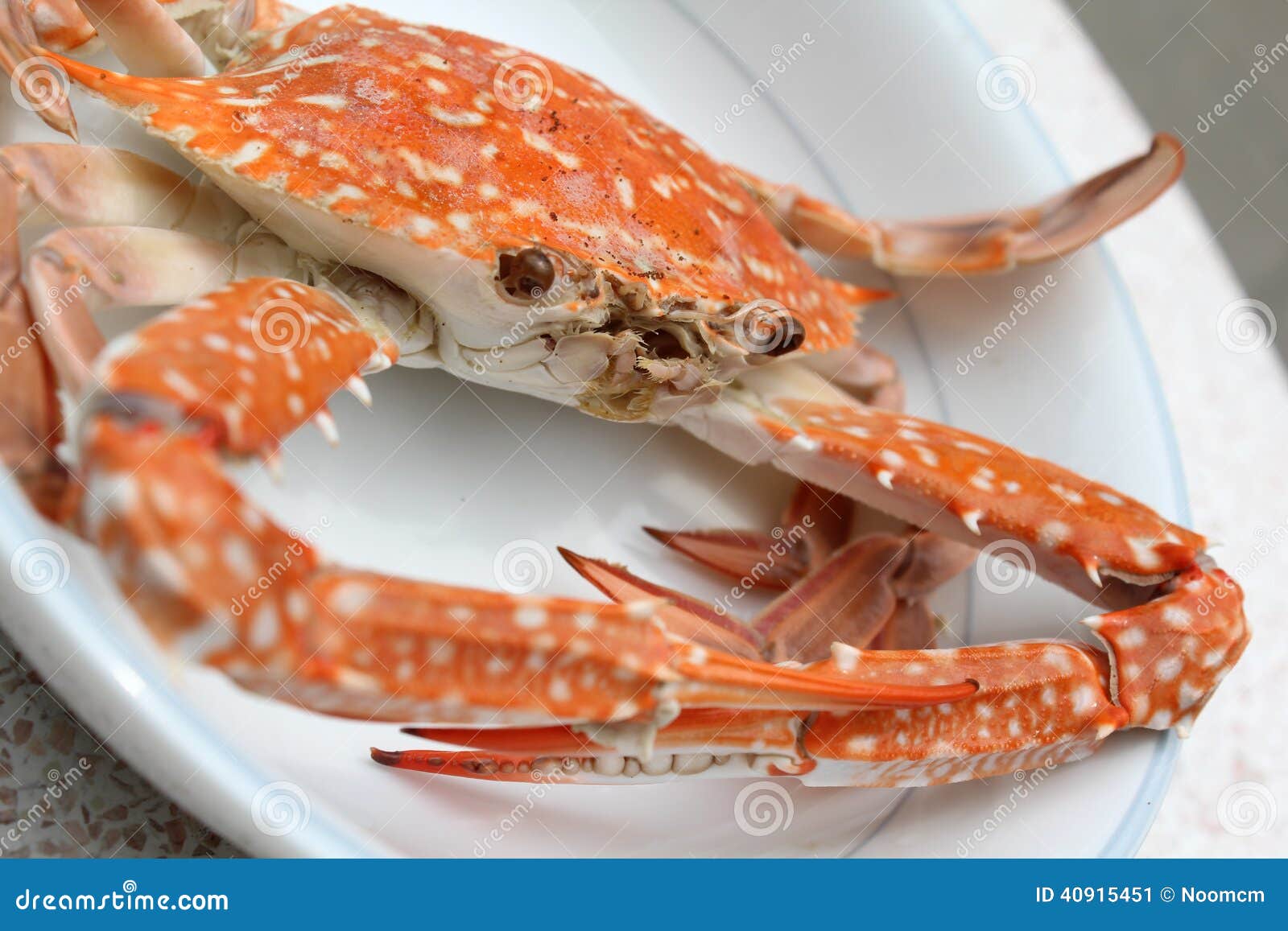 Ny kokt krabba fotografering för bildbyråer. Bild av ryggradslösa ...