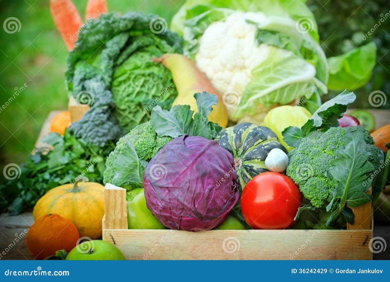 Ny organisk mat fotografering för bildbyråer. Bild av gourmet - 36242429