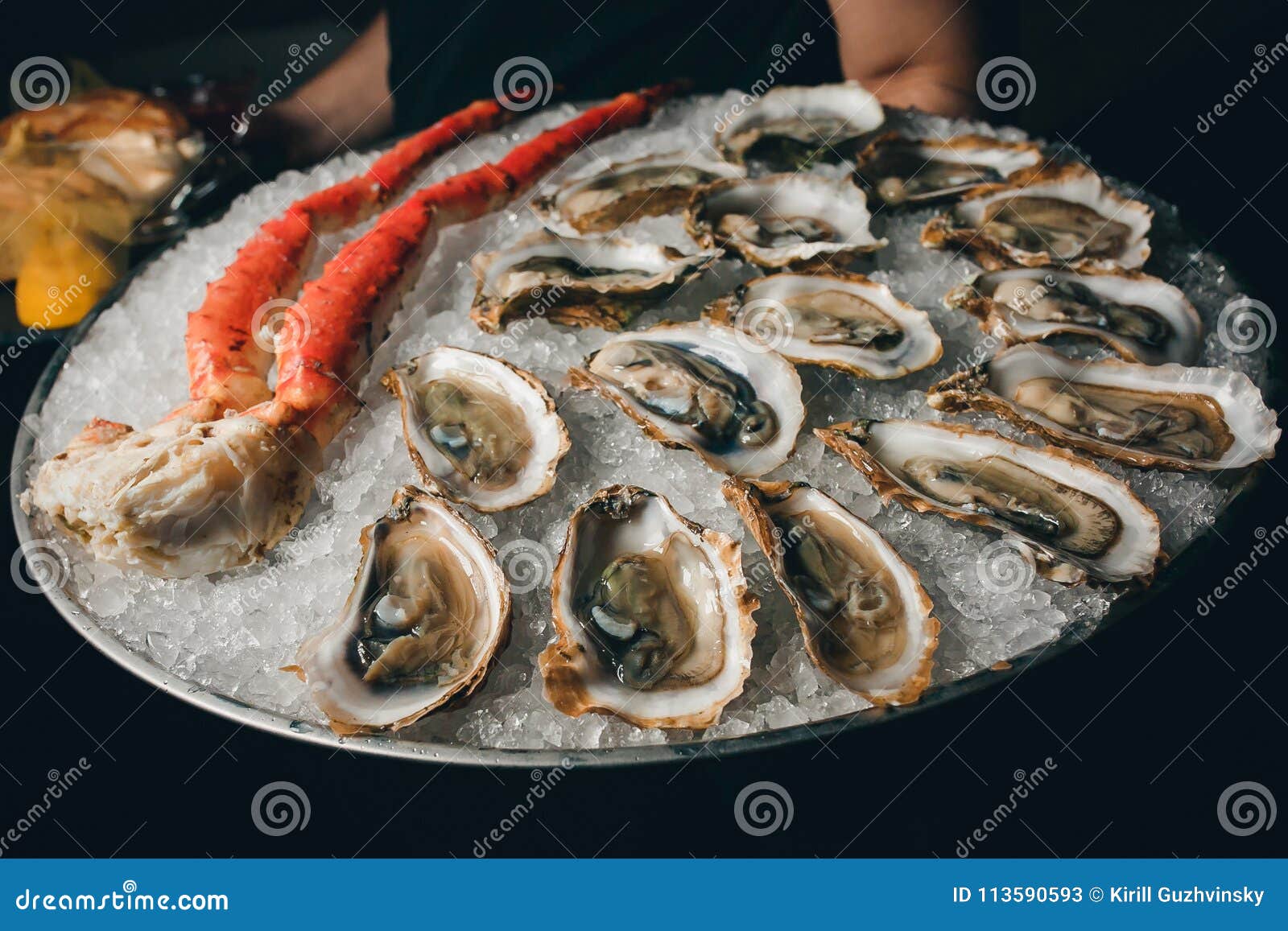 Nya Ostron I En Vit Platta Med is Fotografering för Bildbyråer - Bild ...