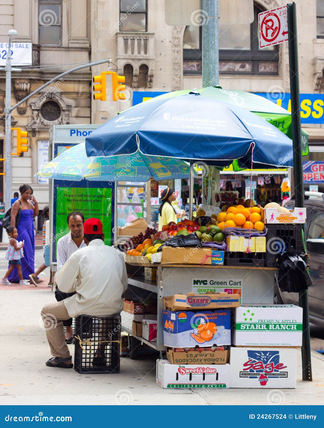 NYC Green Cart editorial stock image. Image of vendor - 24267524
