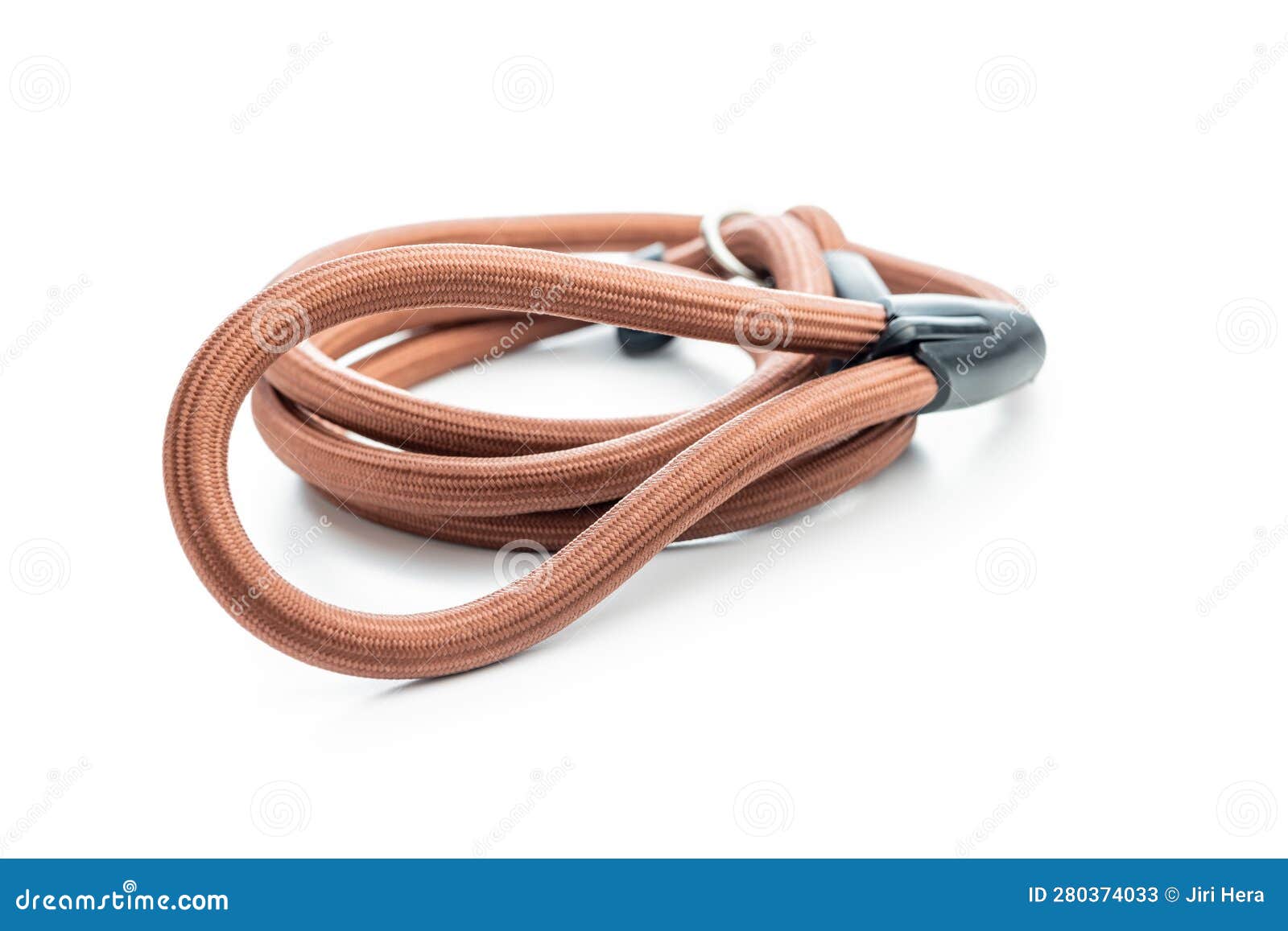 Nylon Pet Leash Isolated on White Background Stock Image - Image of ...