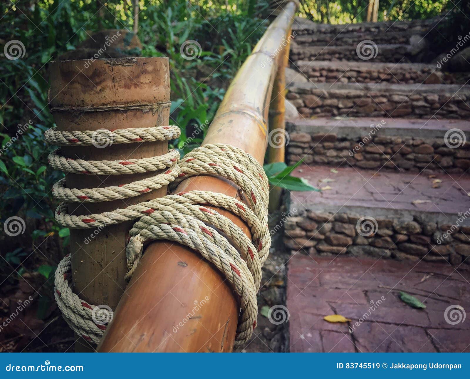 Nylon rope ang stock image. Image of tied, bamboo, rope - 83745519