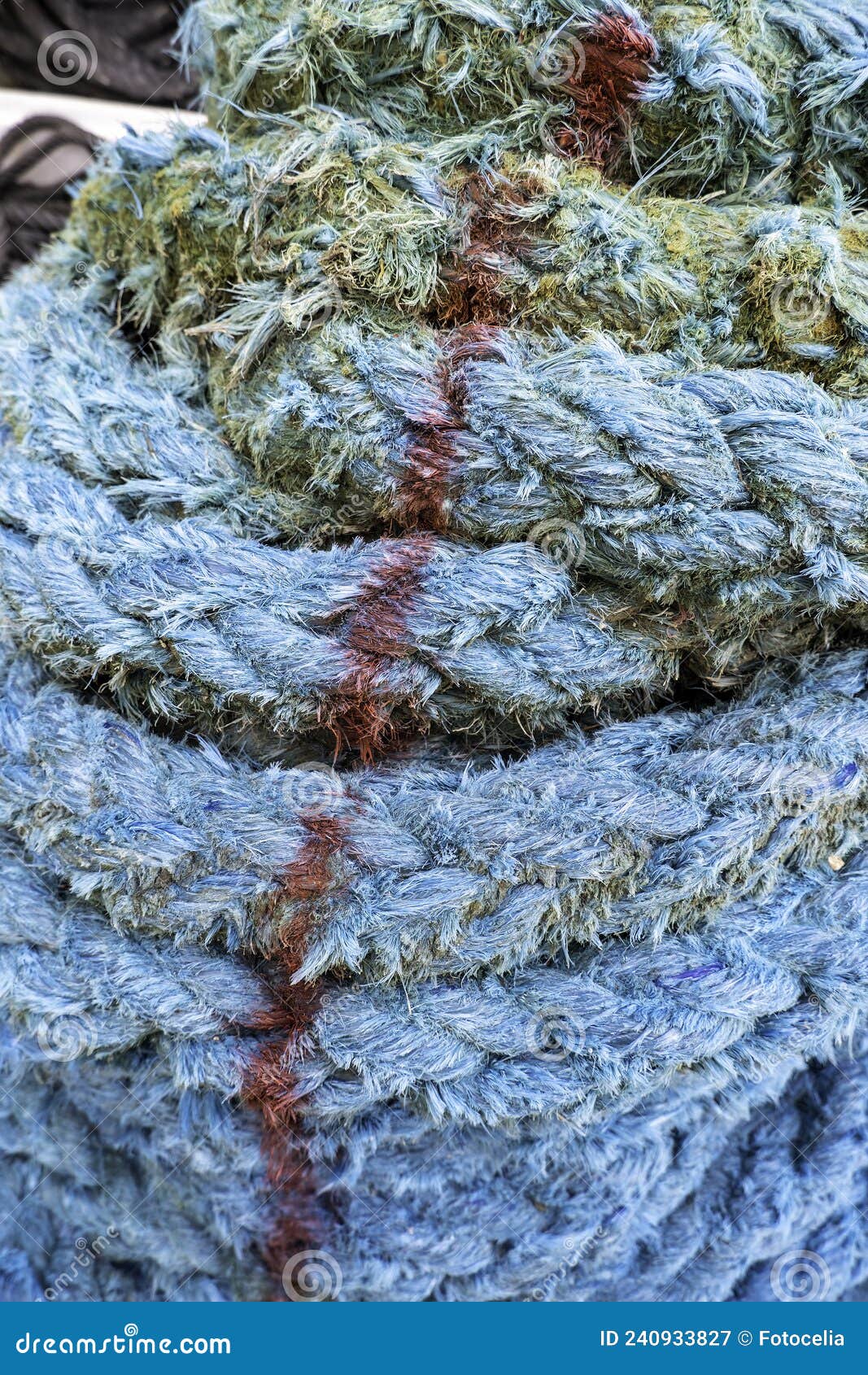 Nylon rope fishing stock image. Image of isolated, cord - 240933827