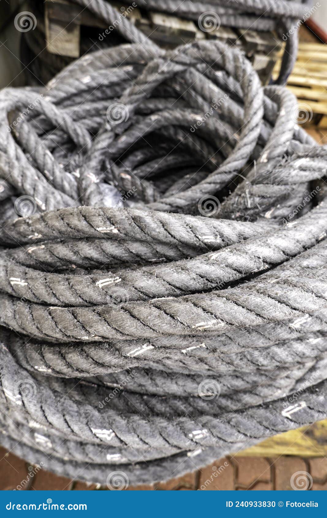 Nylon rope fishing stock photo. Image of abstract, object - 240933830