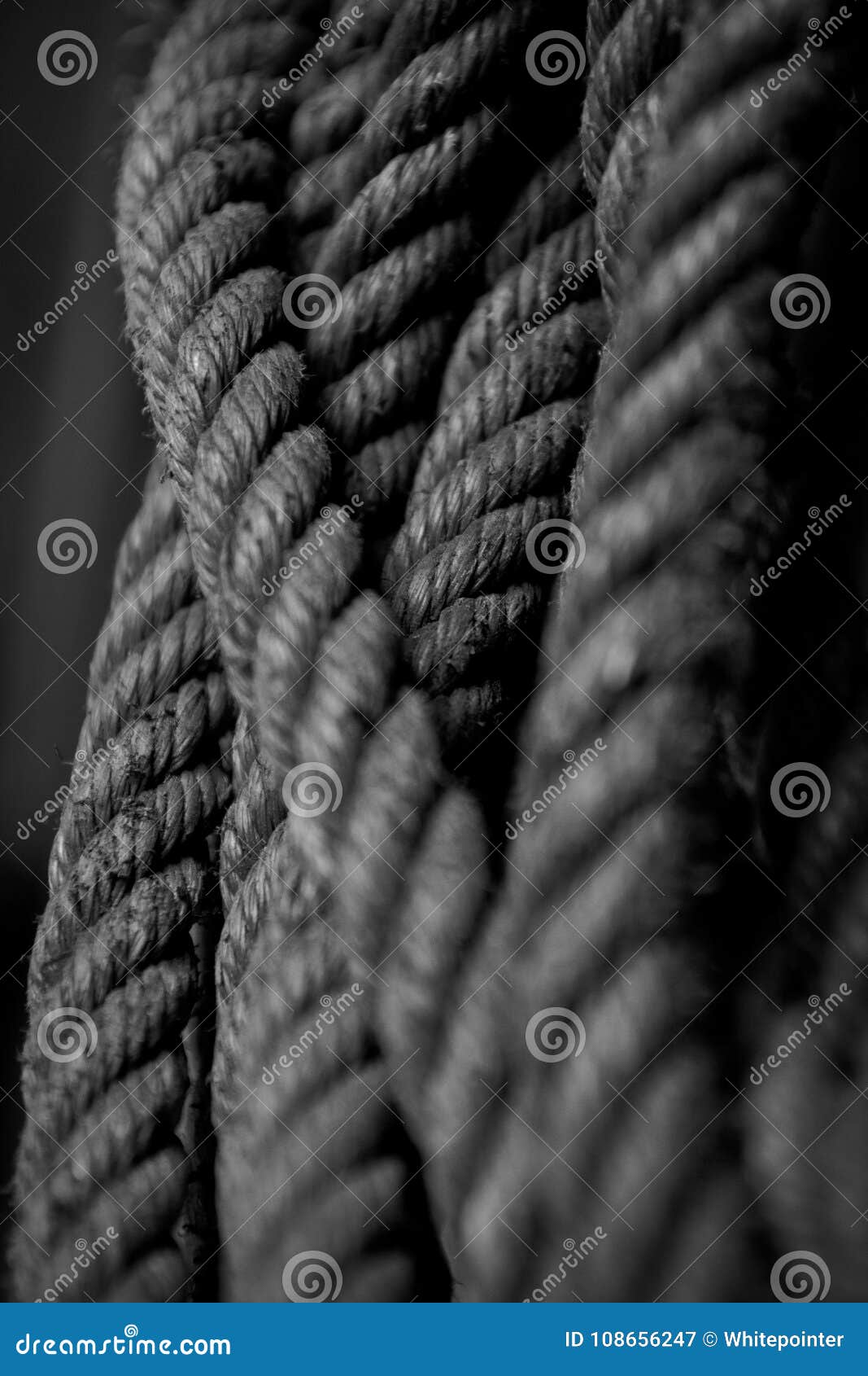 Nylon Ropes Picture in Black and White Stock Image - Image of reuse ...
