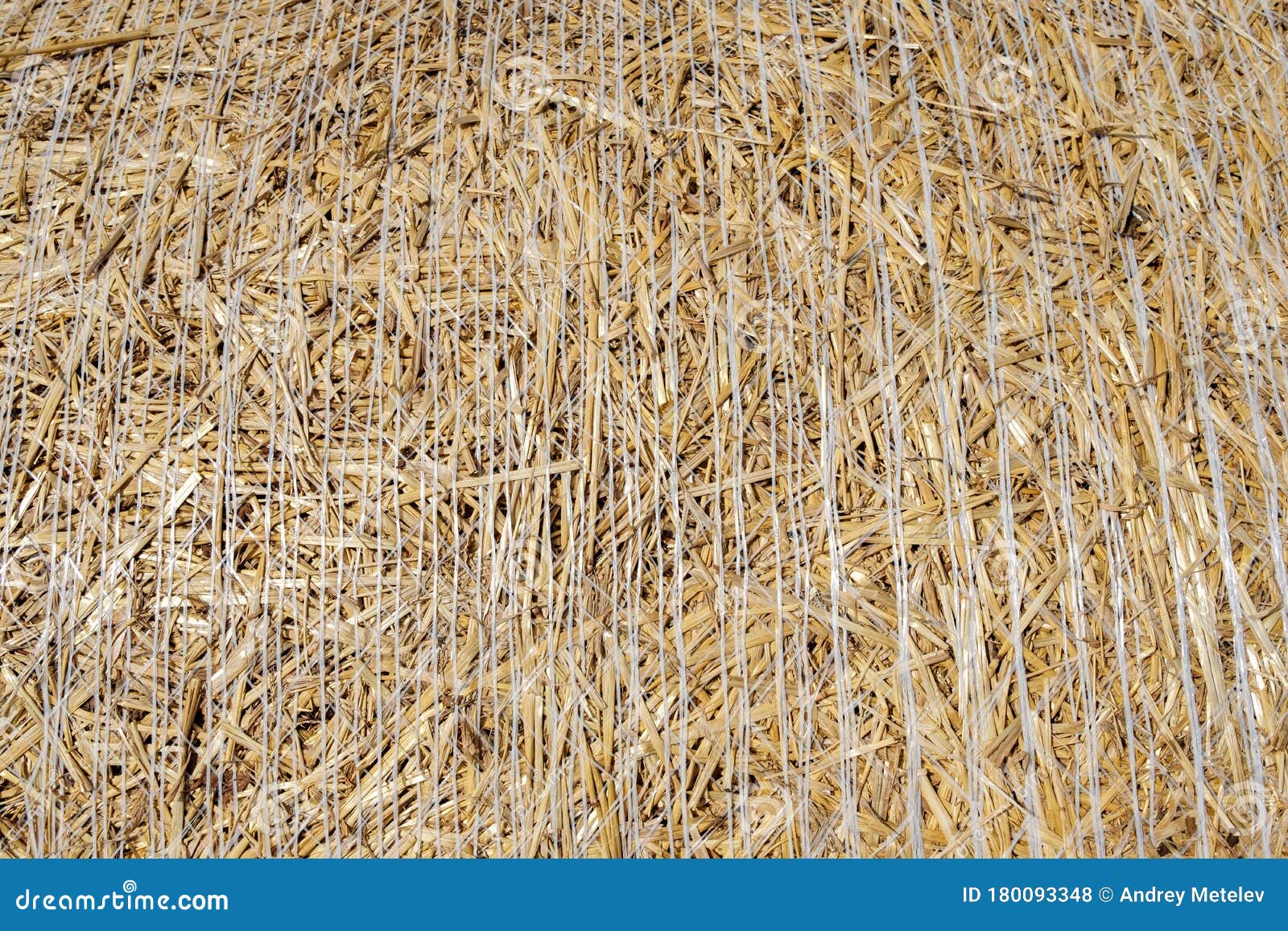 Nylon Threads that Bind a Roll of Hay Stock Photo - Image of field ...