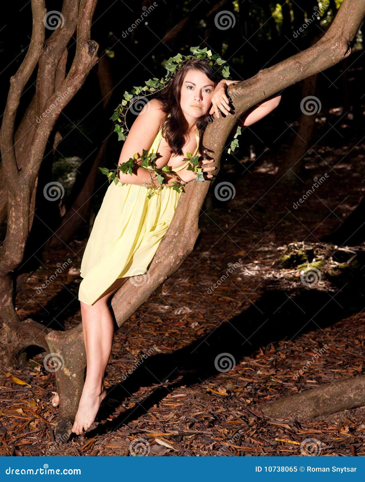Nymph sitting on a tree stock image. Image of outdoor - 10738065