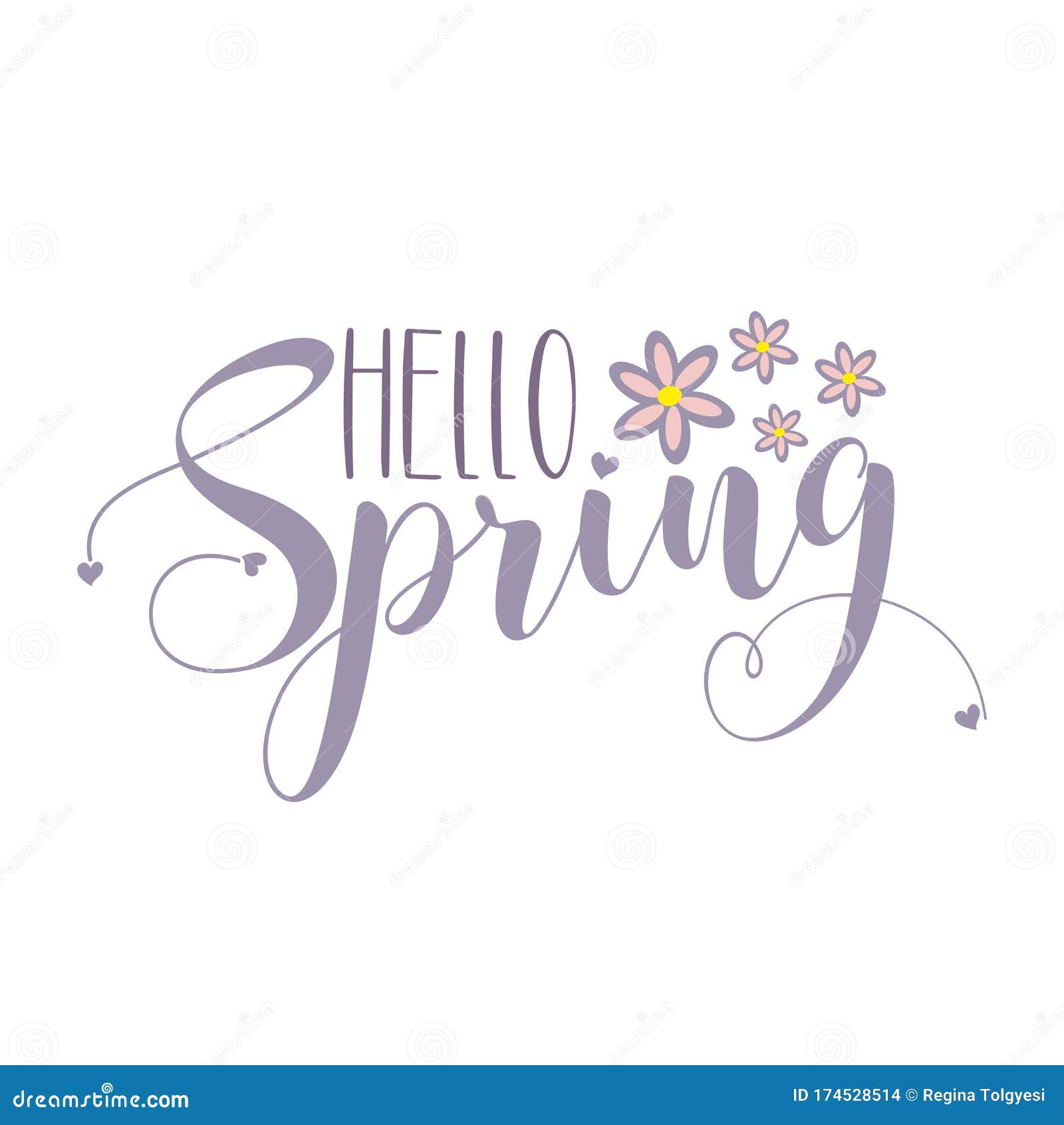 Hello Spring Calligraphy with Daisy Flowers. Stock Vector ...