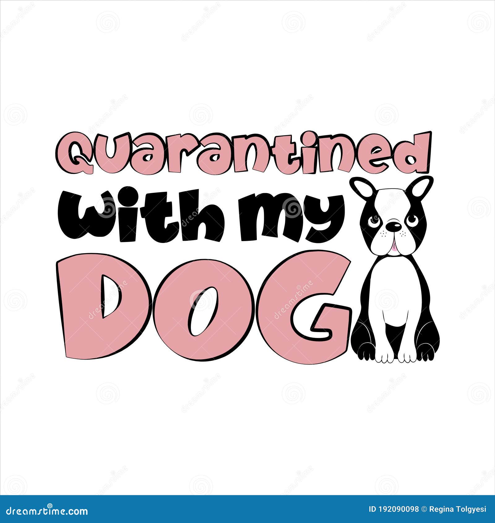 Quarantined with My Dog - and Cute Boston Terrier. Corona Virus ...