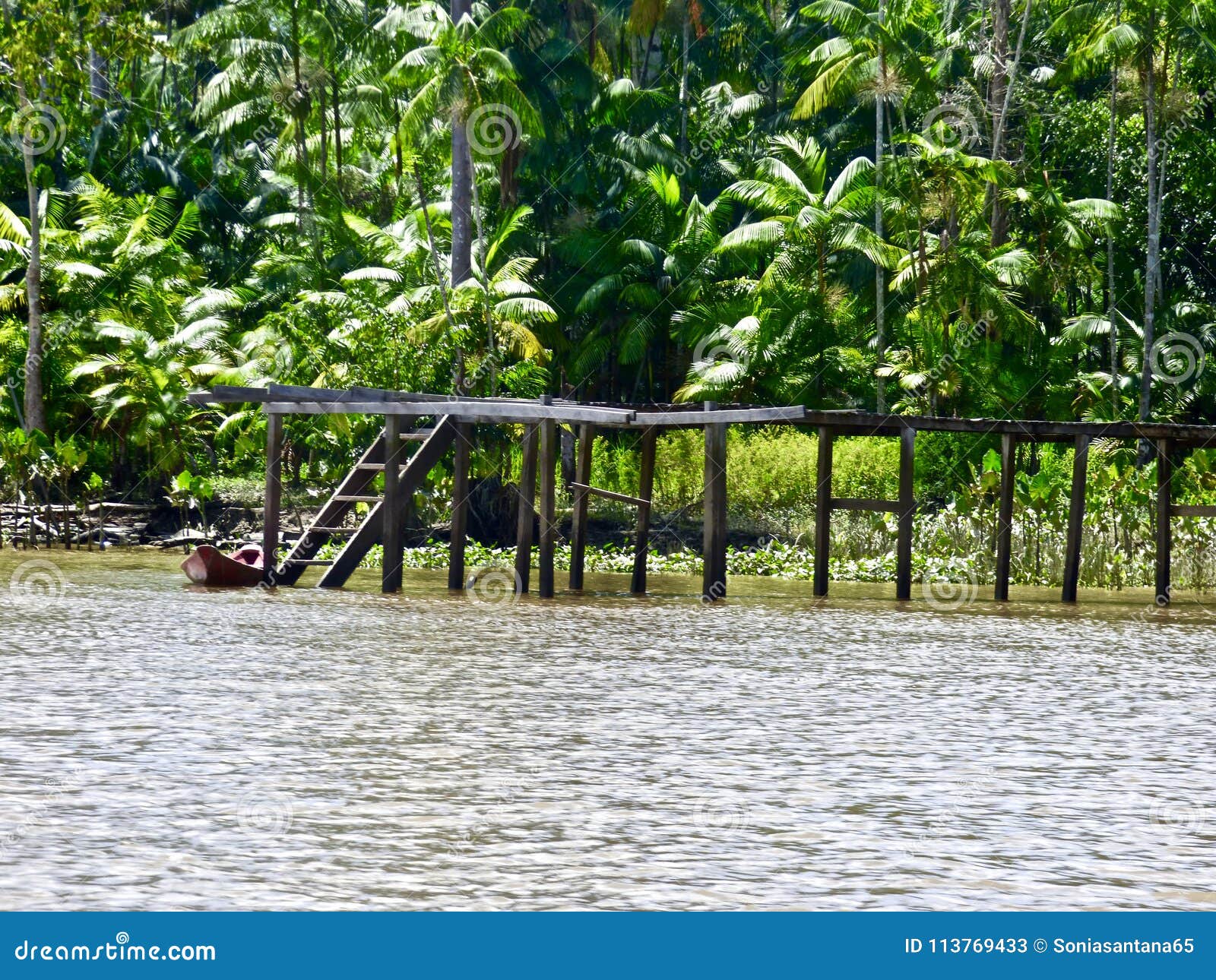 O barco no Rio Amazonas imagem de stock. Imagem de barco - 113769433