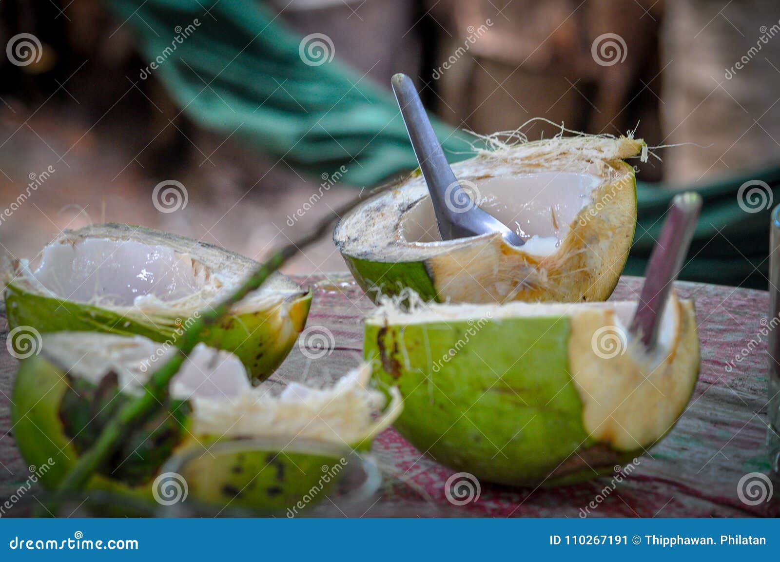 O Coco Do Termo Pode Referir a Palma De Coco Inteira Ou a Semente, Ou O ...