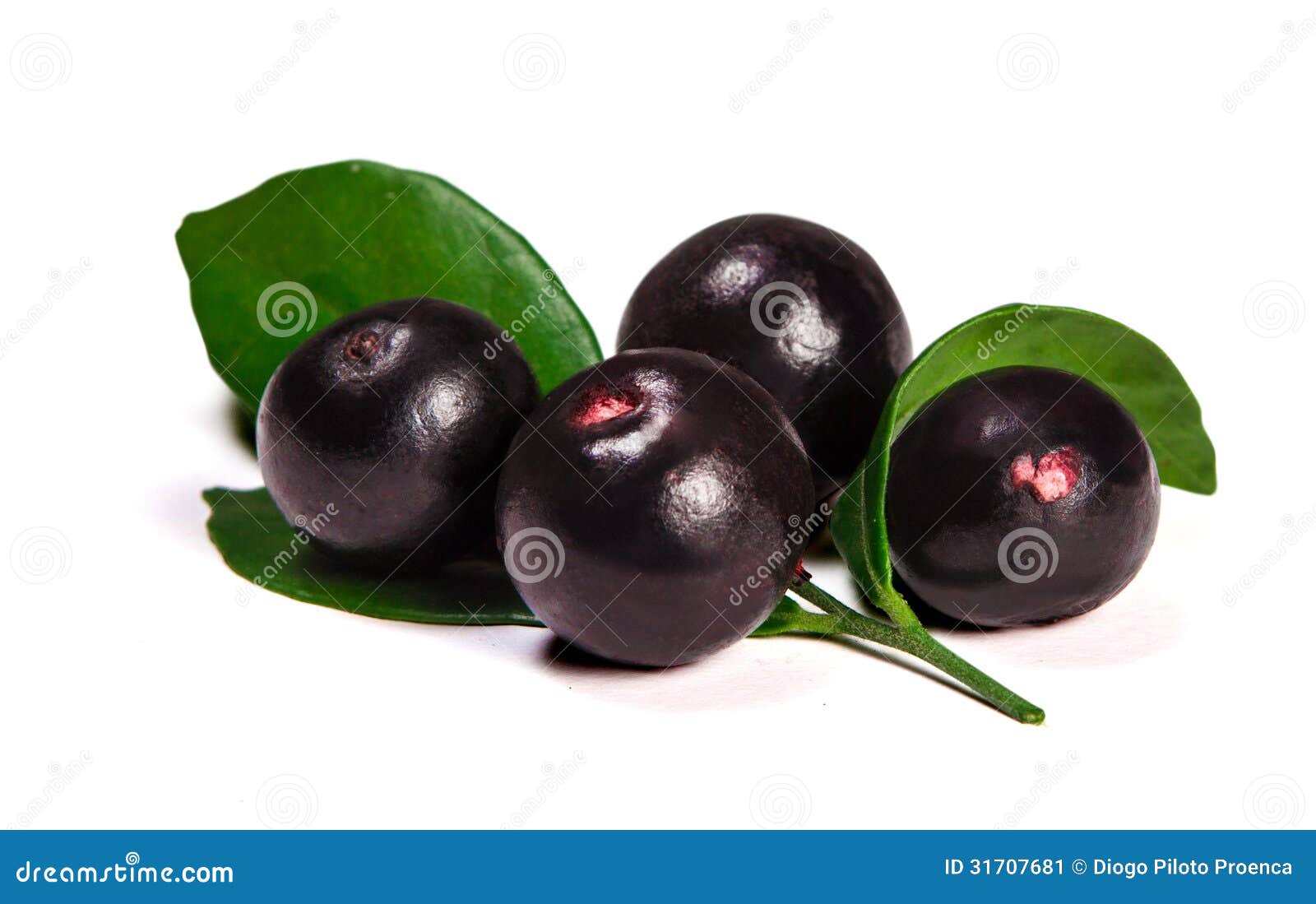 O fruto do acai de amazon imagem de stock. Imagem de bagas - 31707681