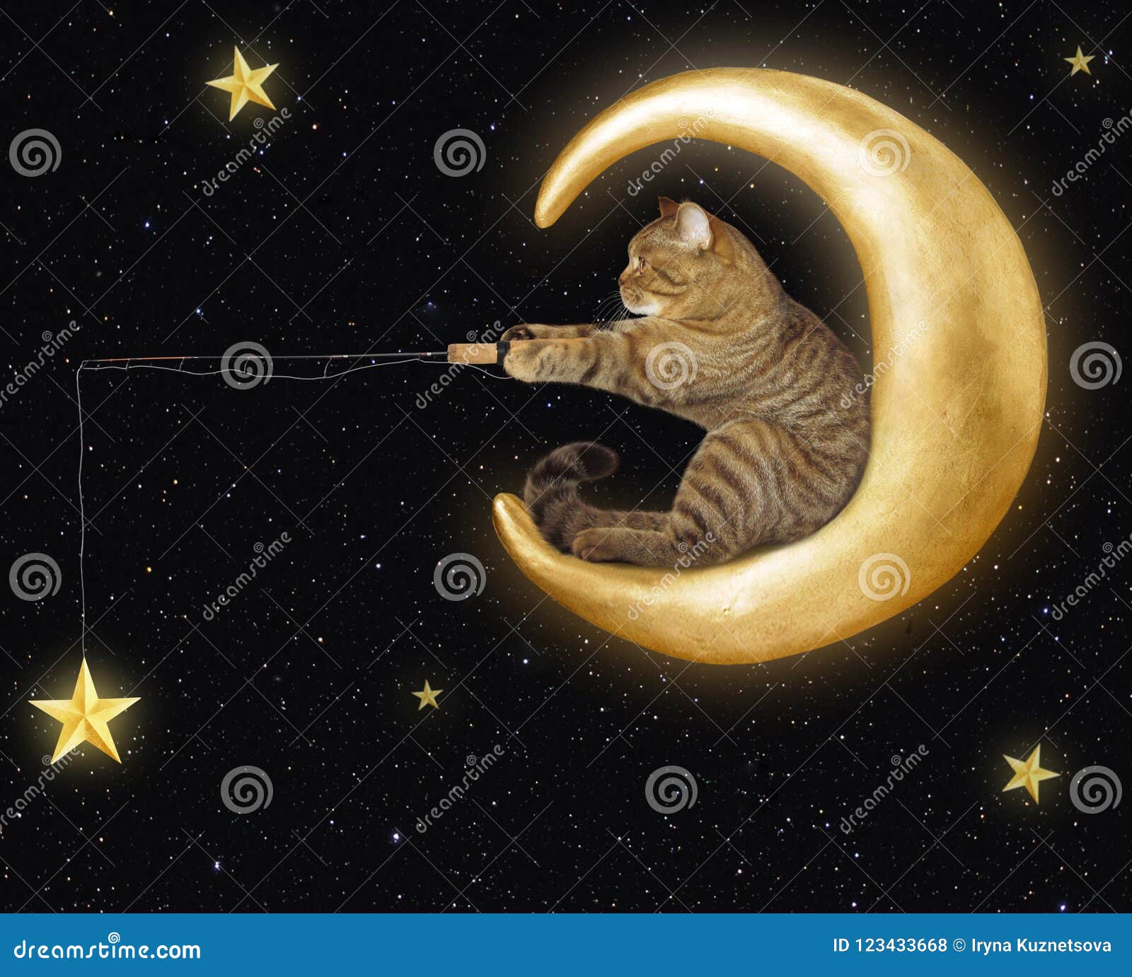 O Gato Na Lua Trava Estrelas Foto de Stock - Imagem de animal, pescador ...