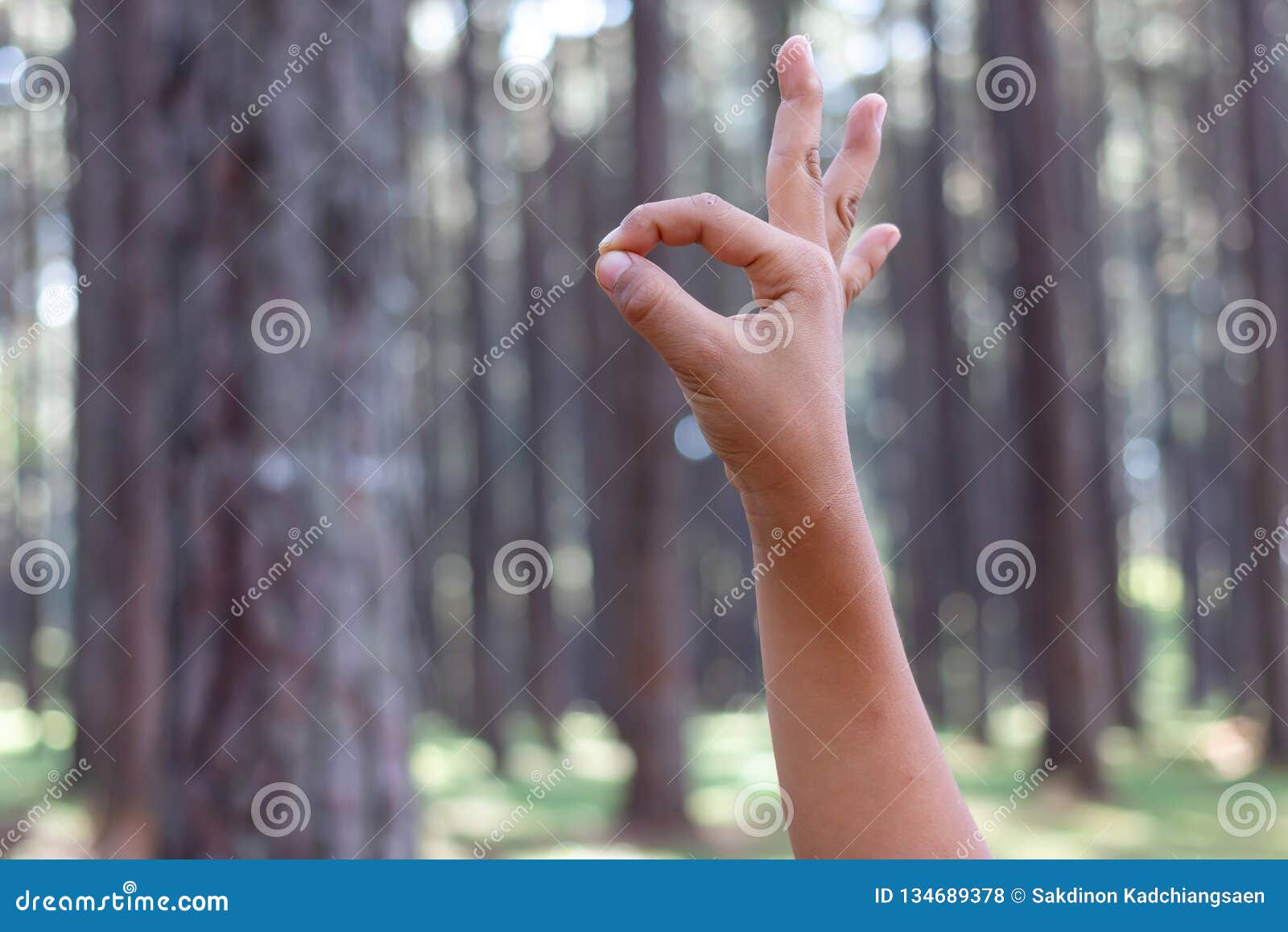 O.K Symbol of the hand stock photo. Image of beautiful - 134689378