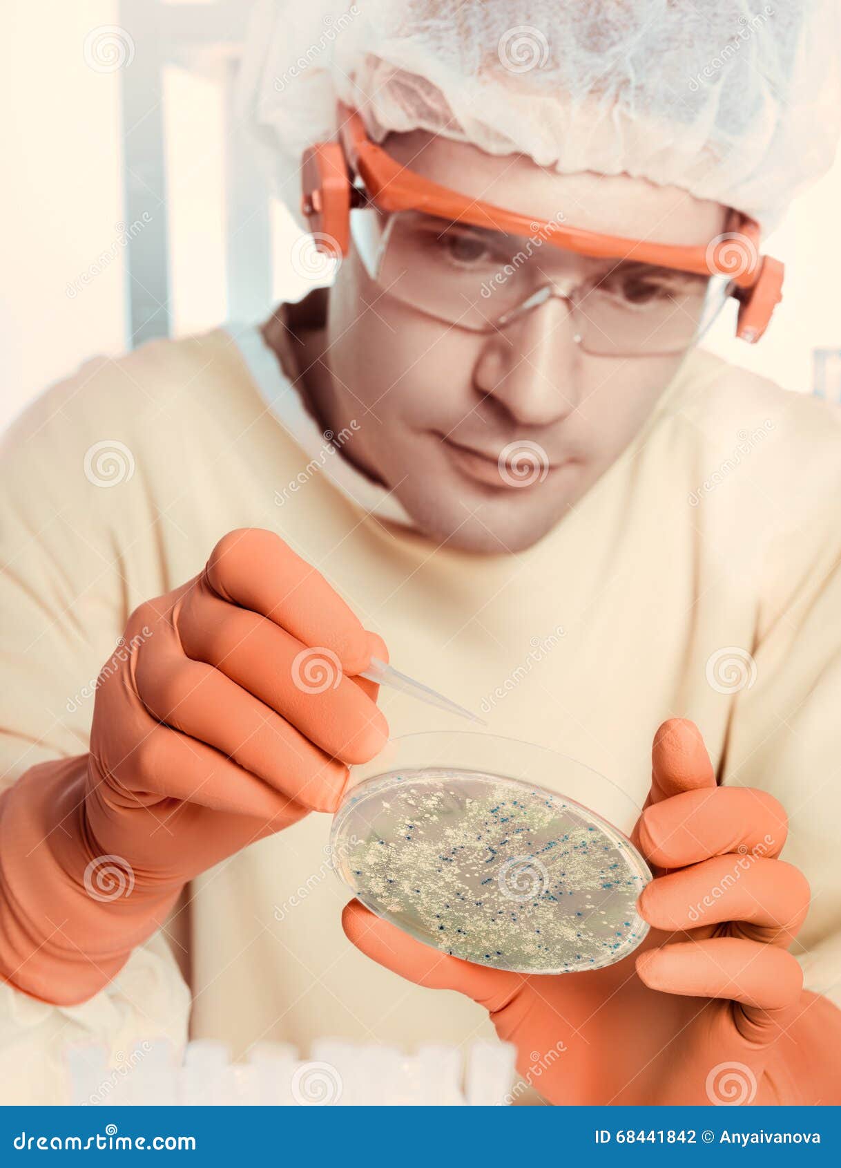 O Microbiologista Novo Trabalha Com Culturas Bacterianas Foto de Stock ...