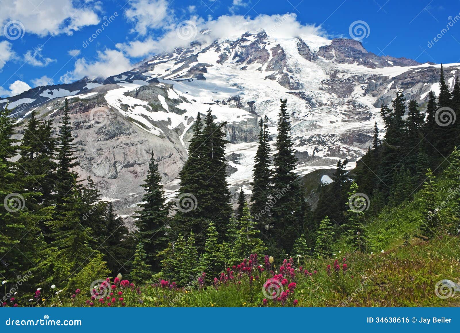 O Monte Rainier Espetacular Com Wildflowers Foto de Stock - Imagem de ...