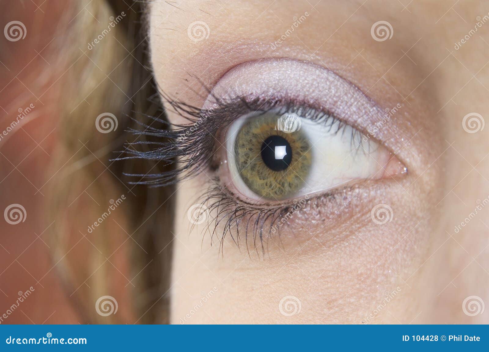 O olho 2 foto de stock. Imagem de beleza, cara, vista, macro - 104428