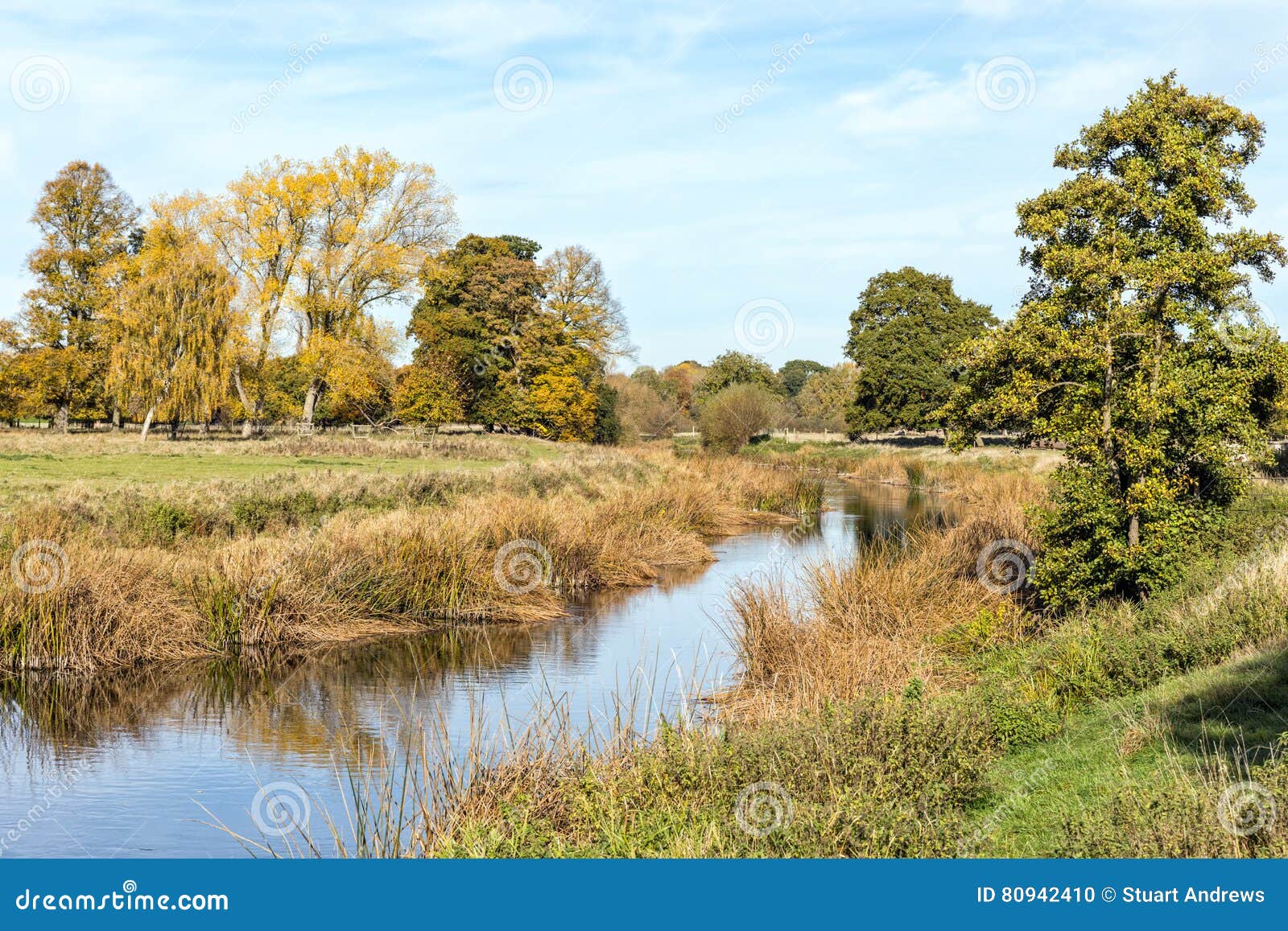 O Rio Avon, Warwickshire, Inglaterra Foto de Stock - Imagem de ...