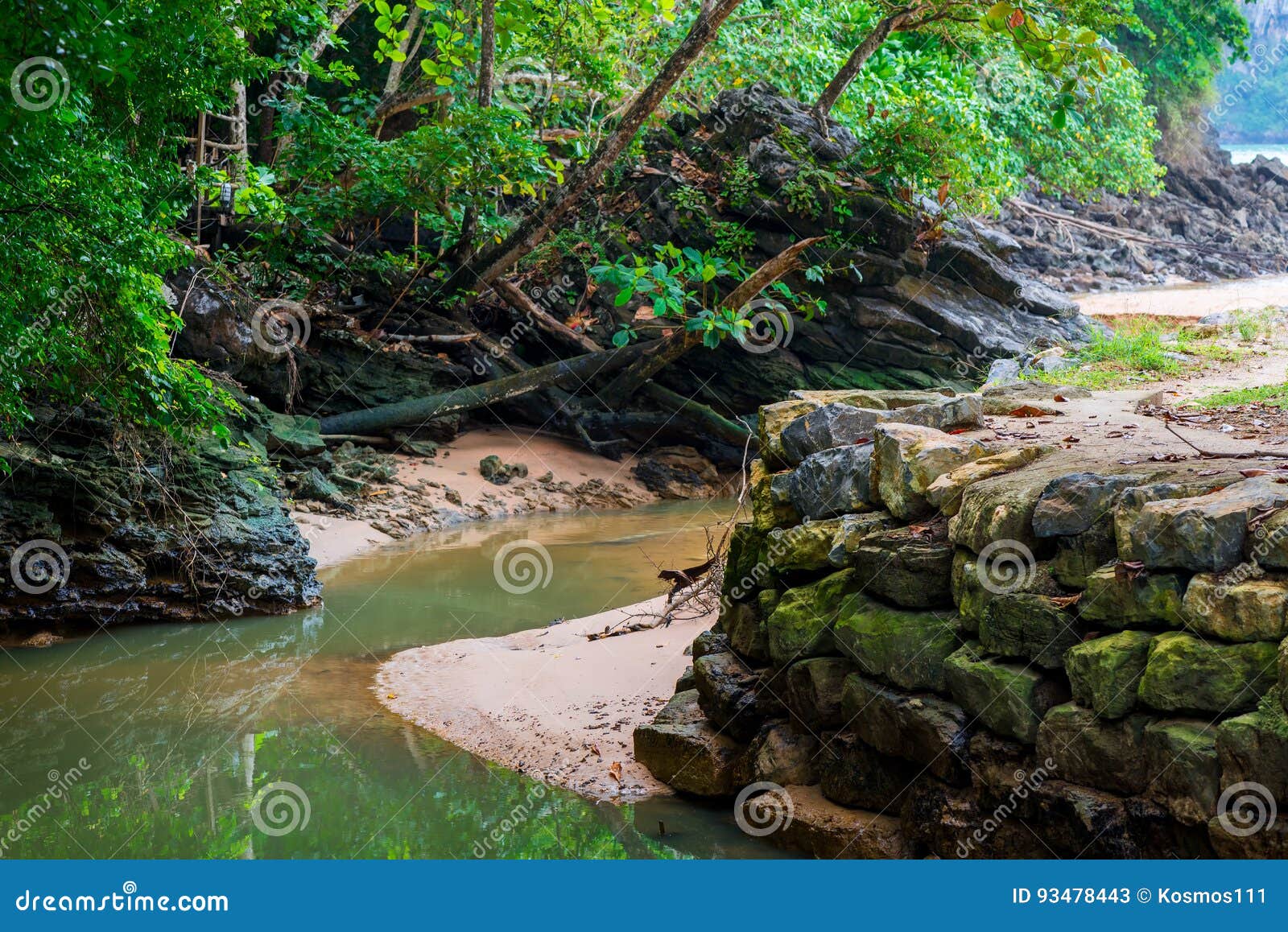 O Rio Entre As Rochas Em Um Tropical Imagem de Stock - Imagem de ...