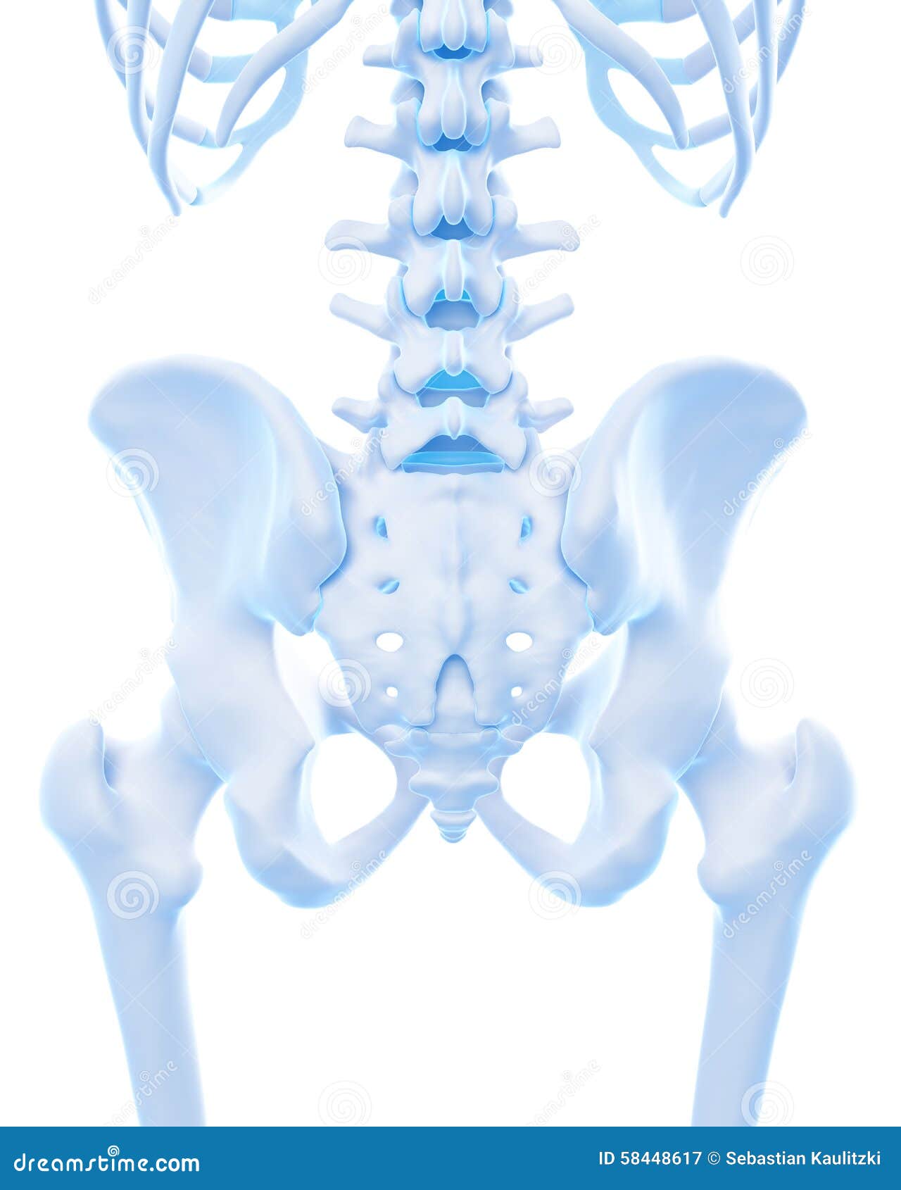 O sacro ilustração stock. Ilustração de exato, medicamente - 58448617