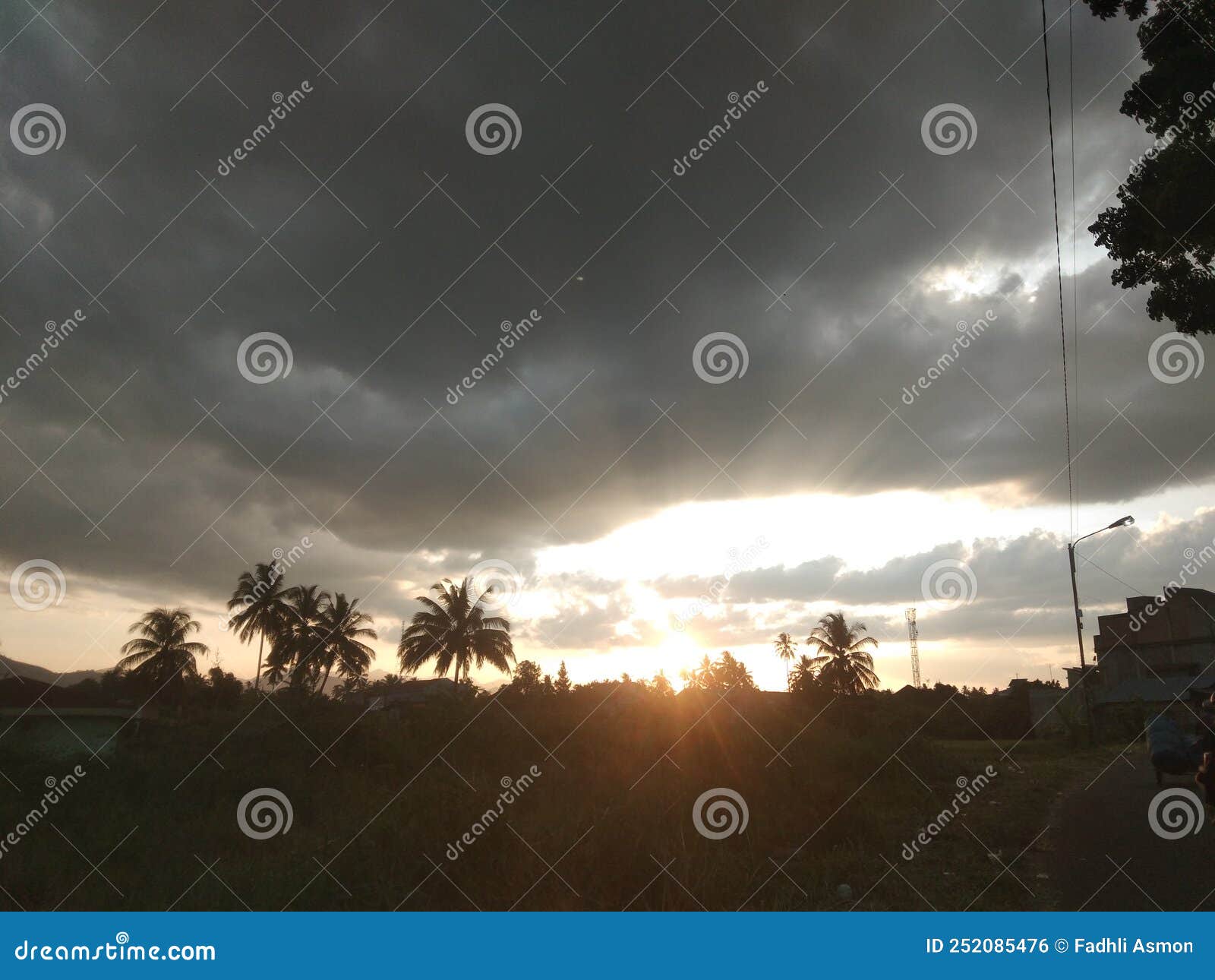 O Sol Da Tarde Como a Silhueta Foto de Stock - Imagem de silhueta ...