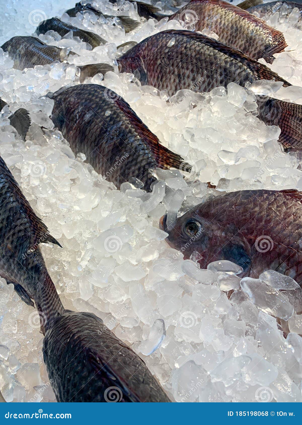 O Tipo De Peixe Com Gelo No Mercado Para Clientes Foto de Stock ...