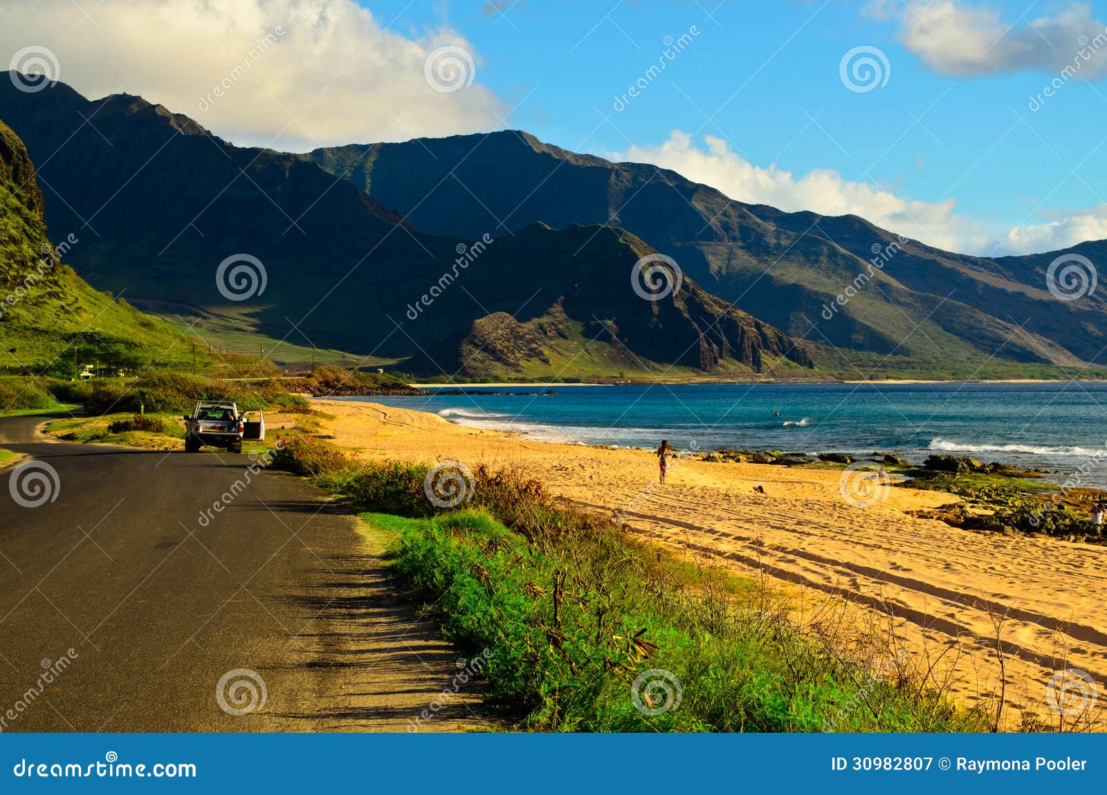 Oahu beach stock image. Image of adventure, palm, blue - 30982807