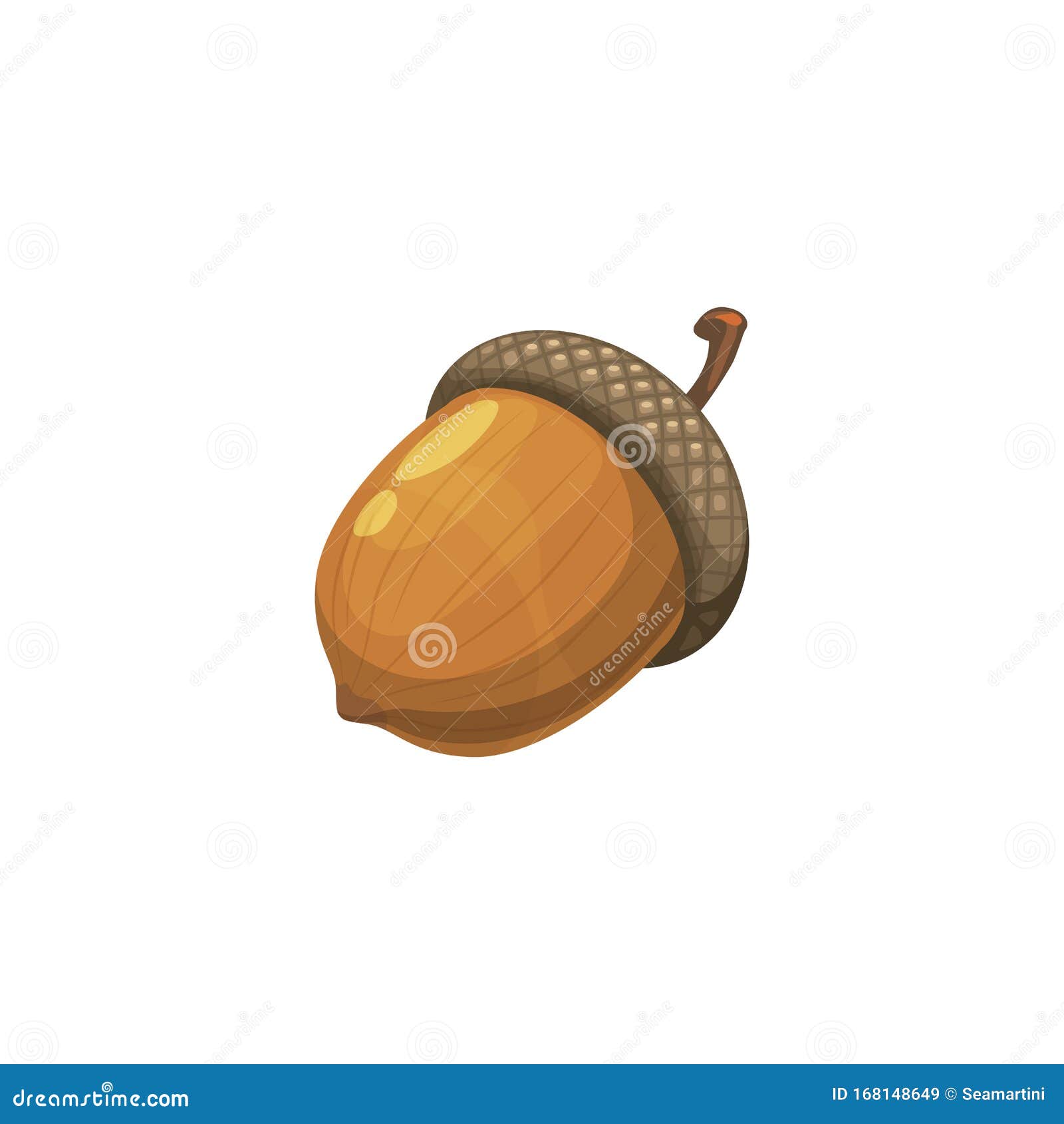 Nut of Acorn or Oak Tree Isolated Realistic Seed Stock Vector ... Nut of Acorn or Oak Tree Isolated Realistic Seed Stock Vector ...