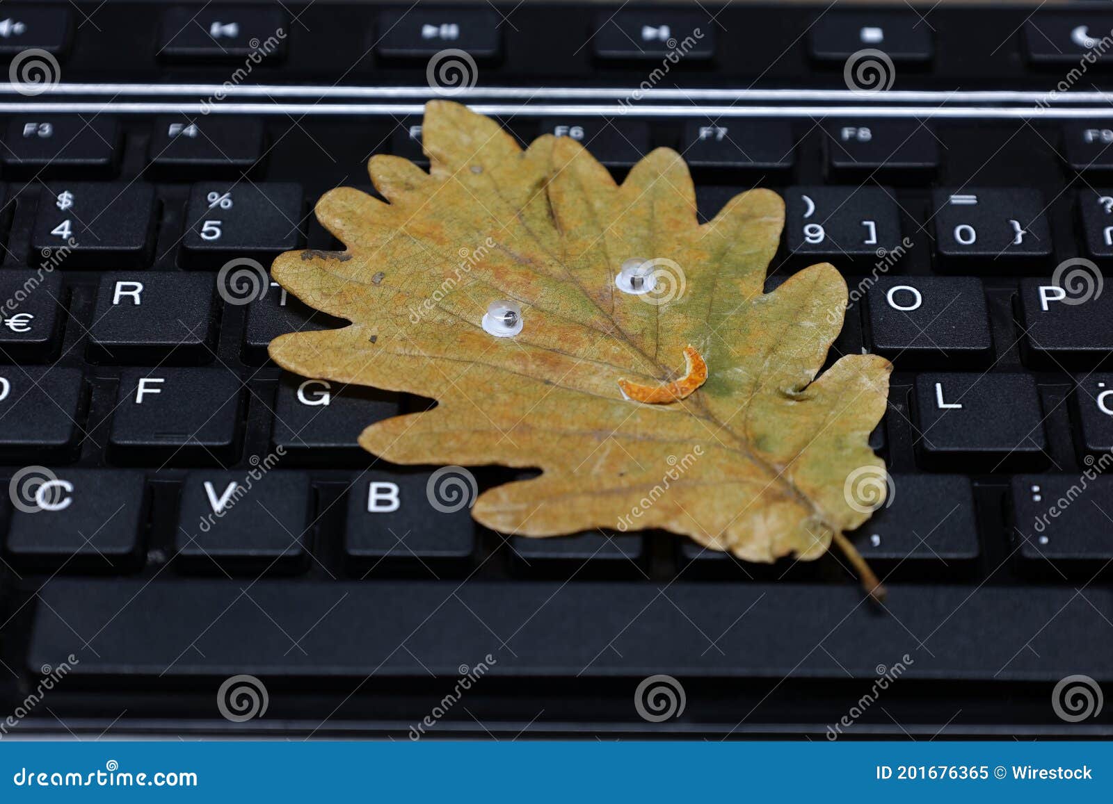 Oak Autumn Leaf on a Computer Keyboard Stock Image - Image of autumn ...