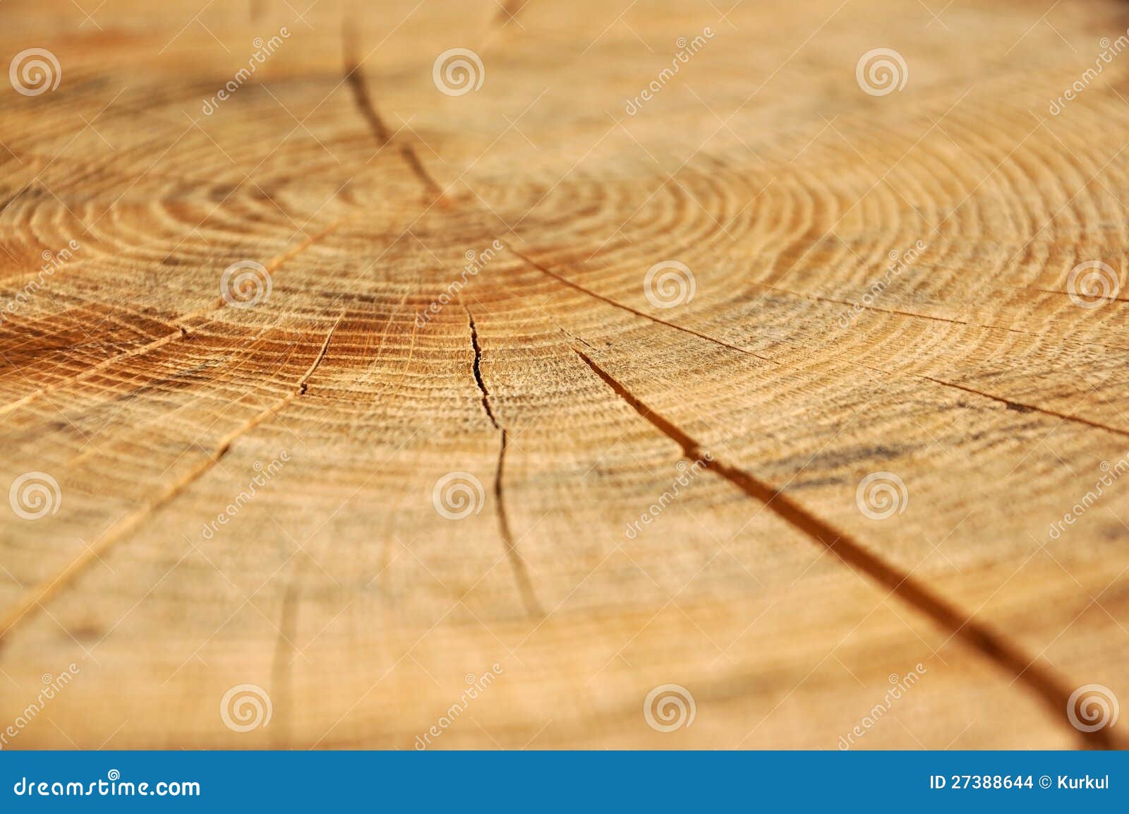 Oak background stock photo. Image of rough, aging, life - 27388644