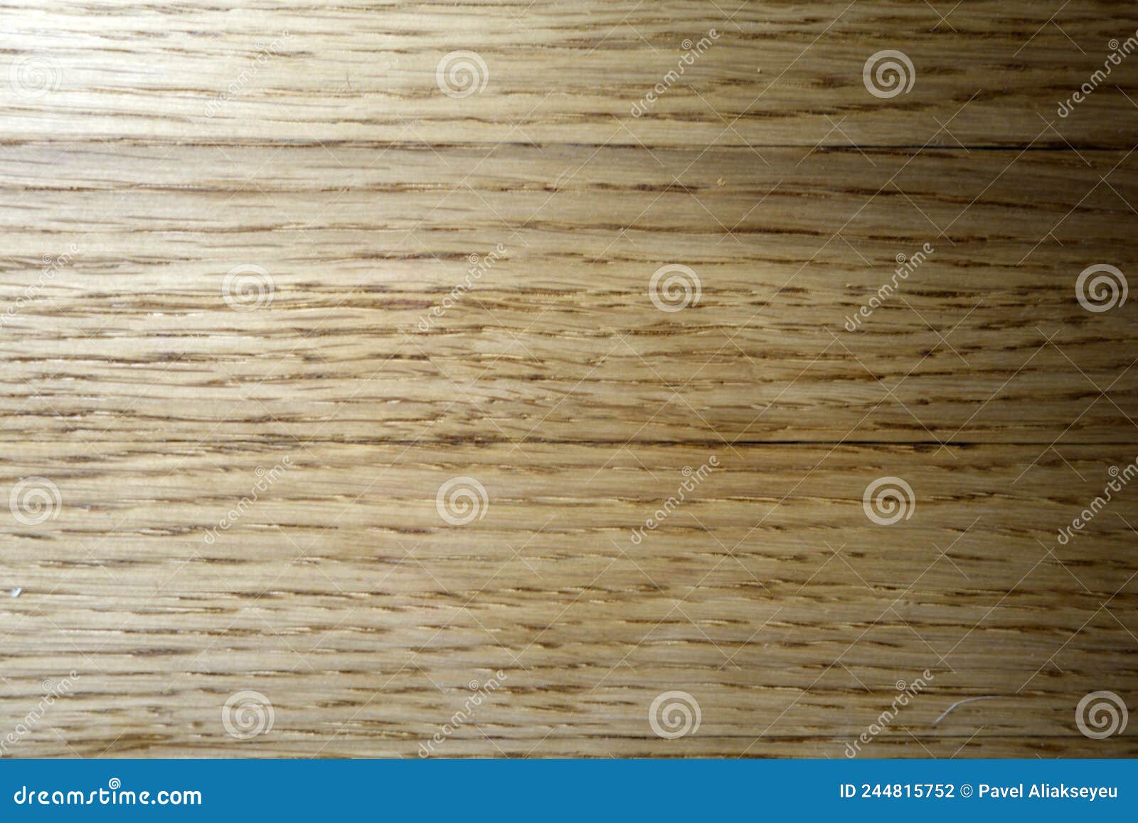 Oak Bard Pattern and Texture As Background Stock Photo - Image of space ...