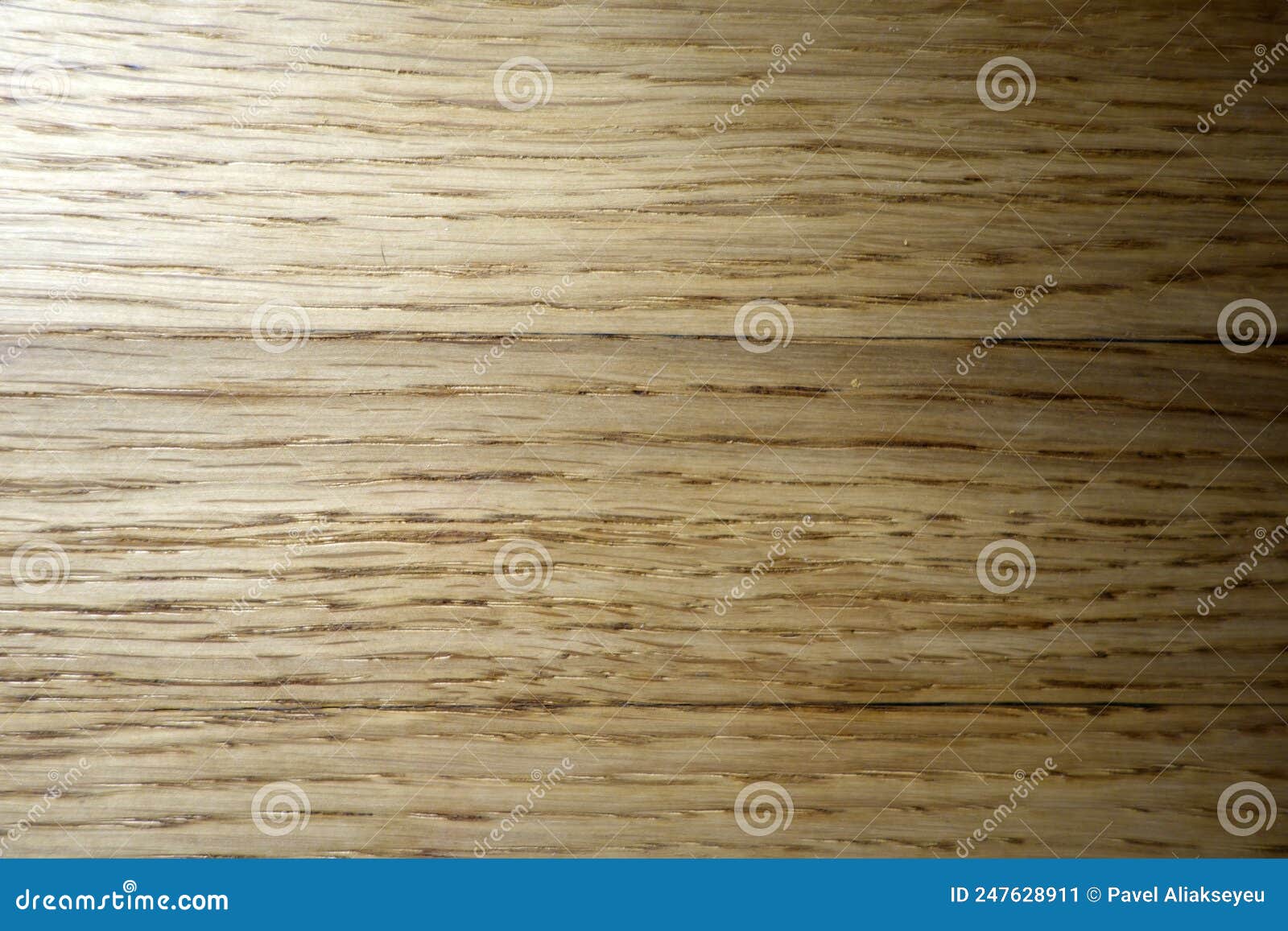 Oak Bard Pattern and Texture As Background Stock Image - Image of ...