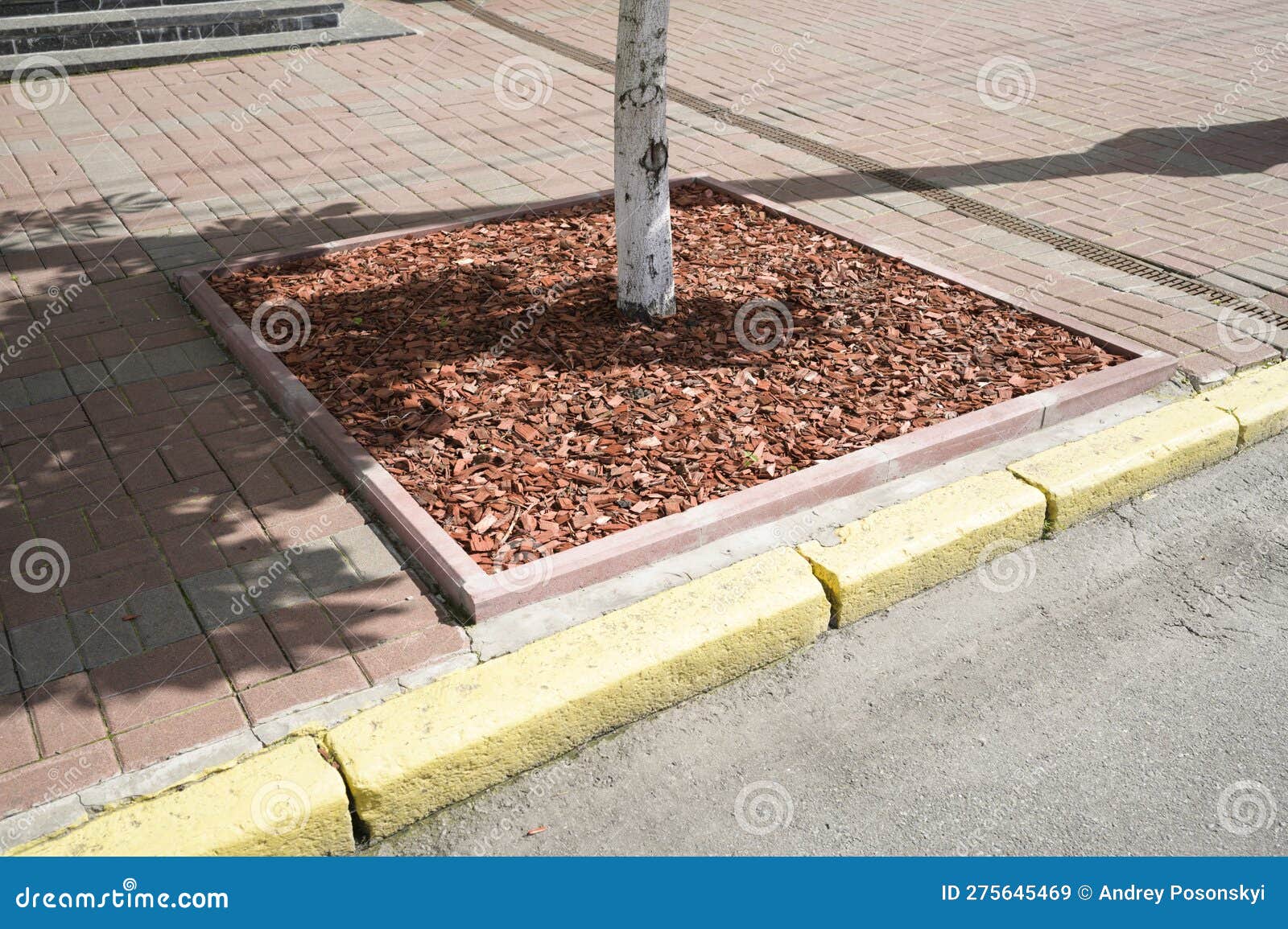 Oak Bark when Decorating a Tree in a Landscape Design Stock Image ...