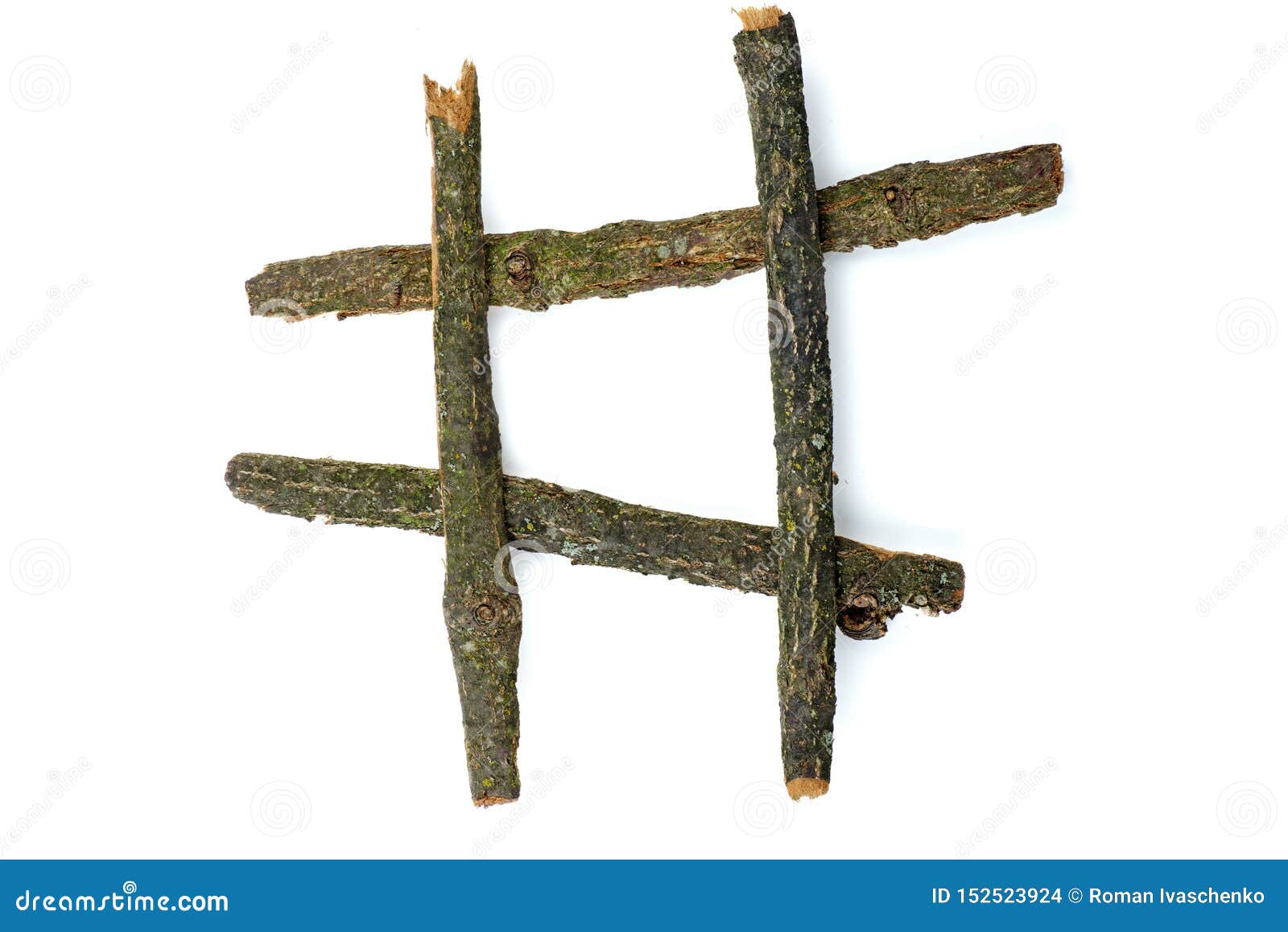 Oak bark frame stock photo. Image of bark, macro, material - 152523924