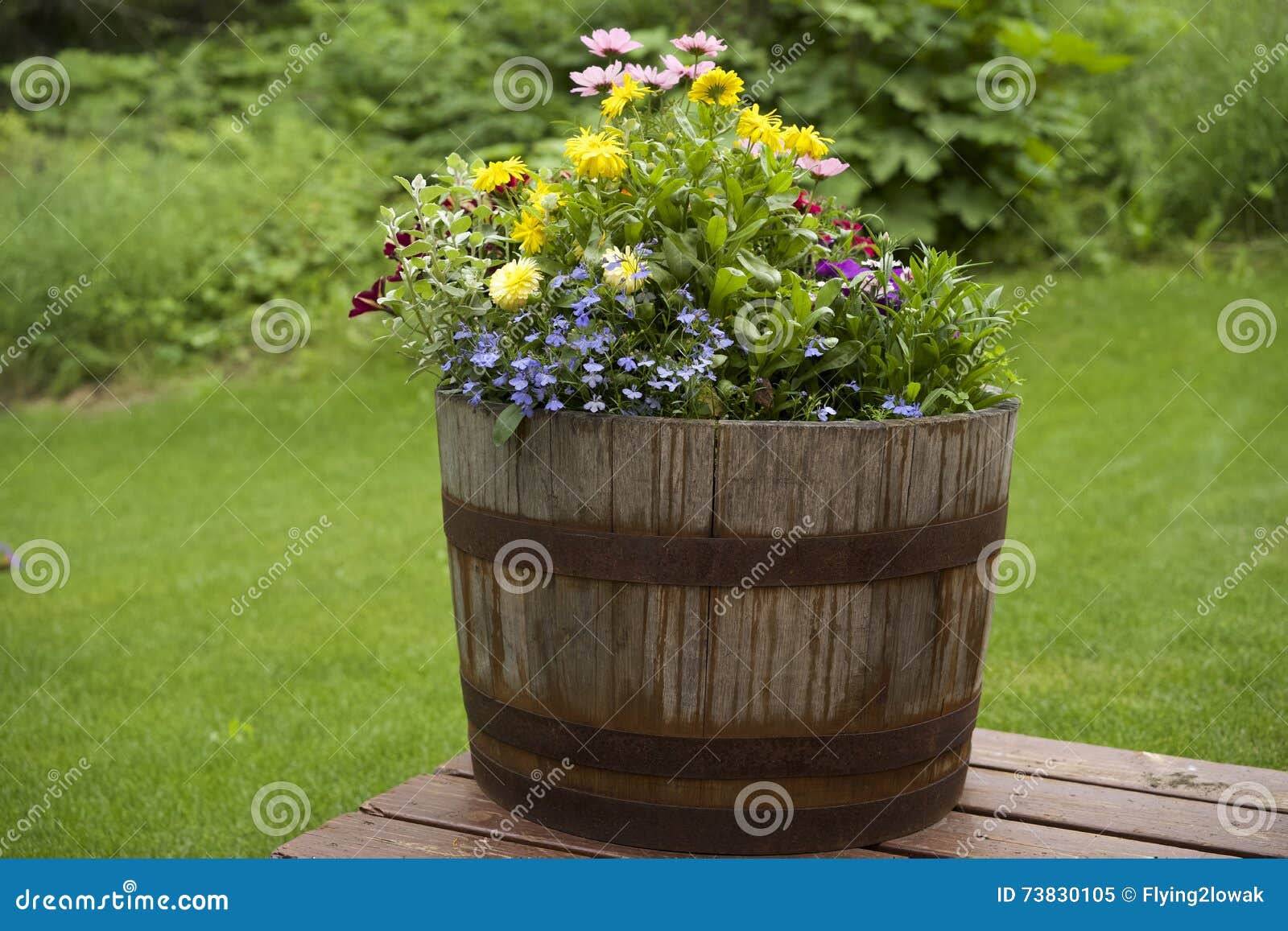 Oak Barrel Flower Pot with Flowers Stock Image - Image of flowers ...