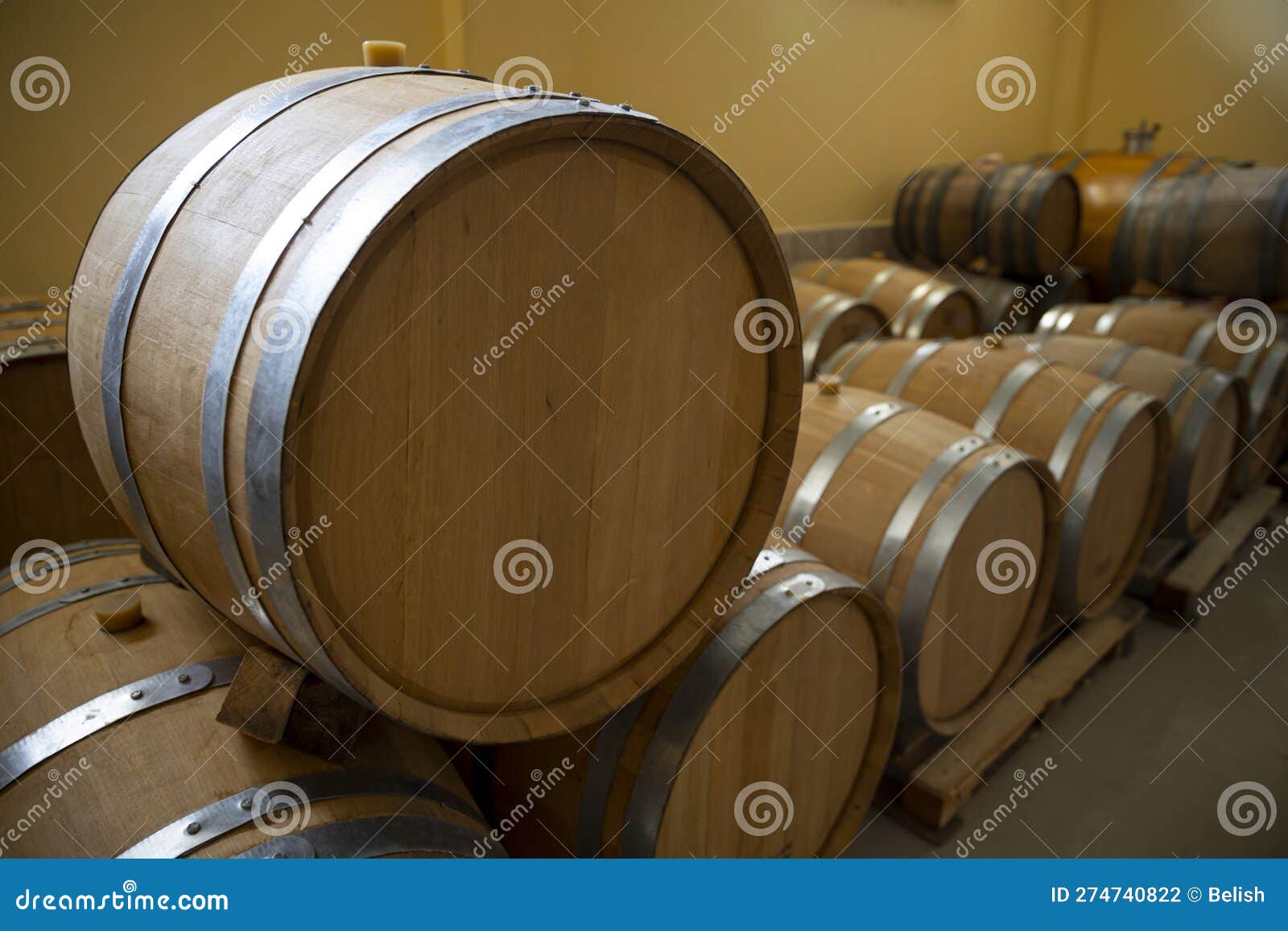 Oak Barrels stock photo. Image of vine, selection, store - 274740822