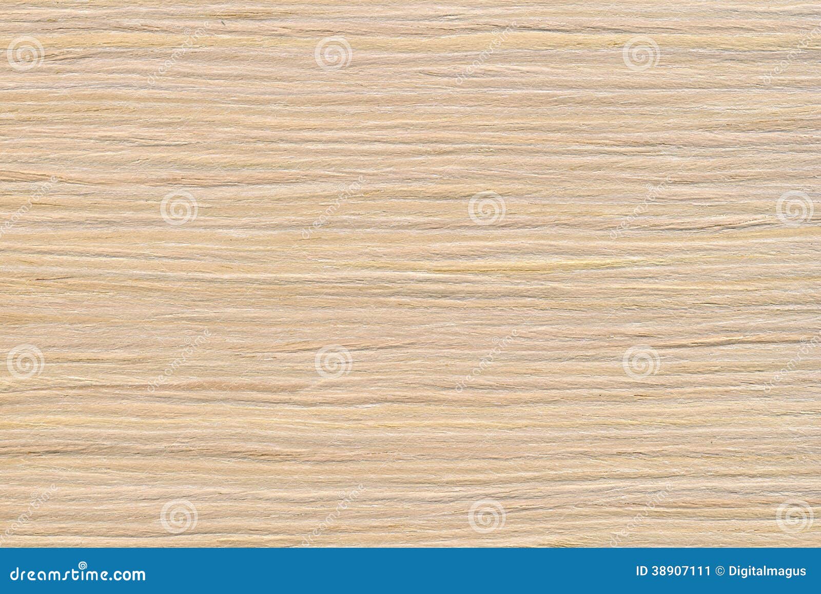 Oak bleached premium stock image. Image of pattern, panel - 38907111