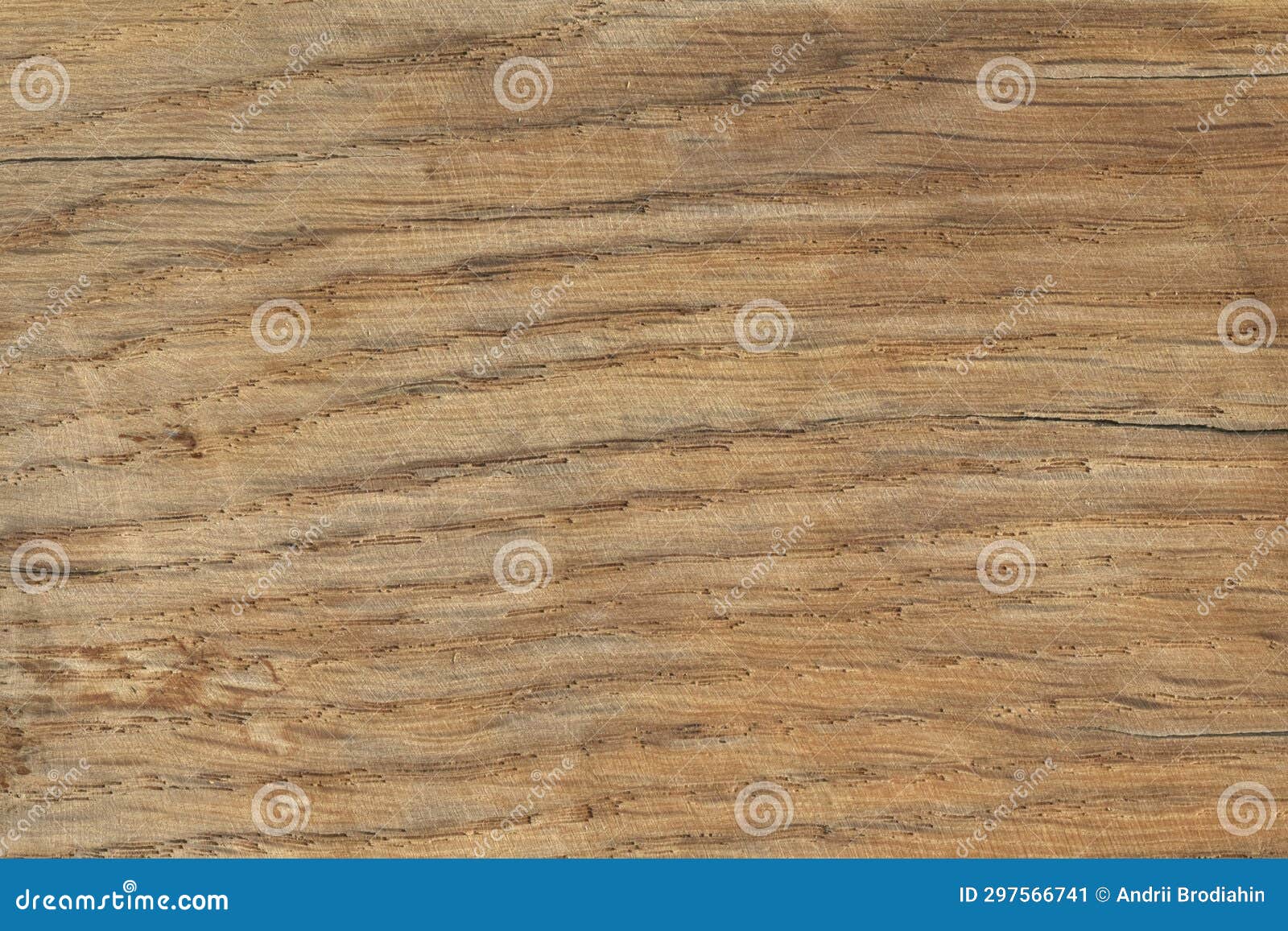 Oak board texture stock image. Image of pattern, grungy - 297566741