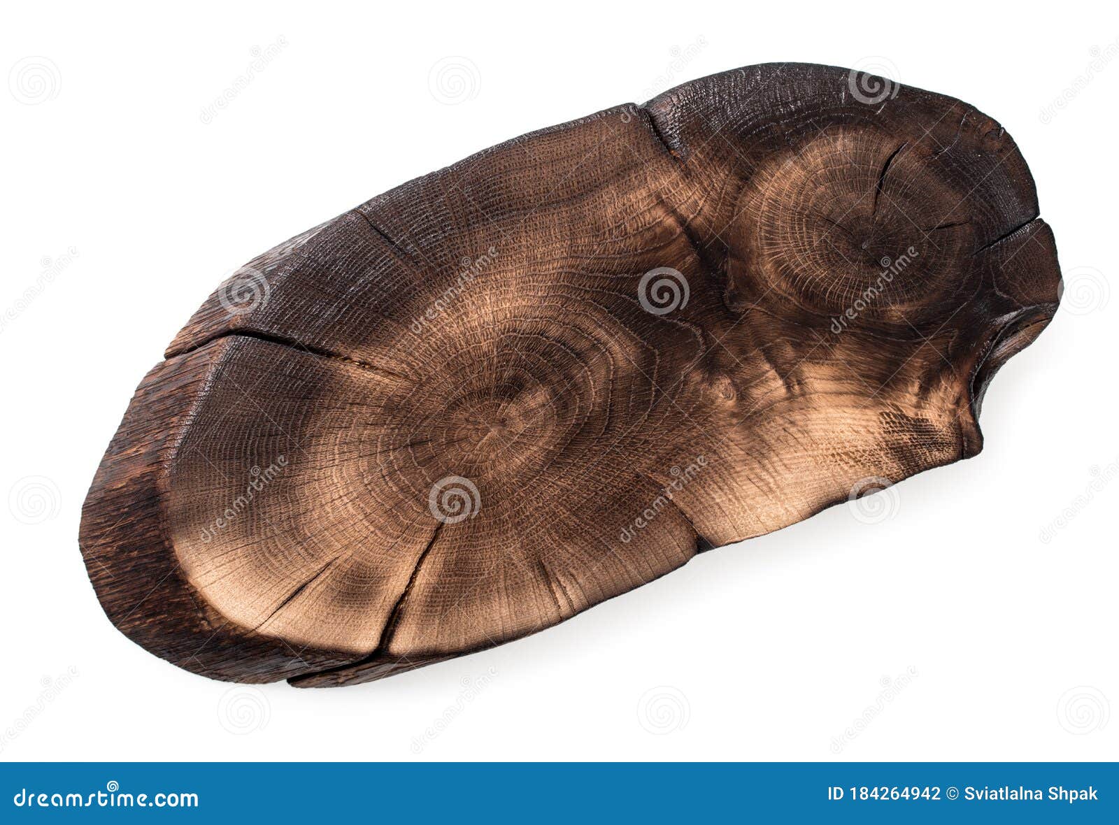 Oak Cutting Board, Burnt Log Slice Cutted Tree Trunk Isolated on White ...