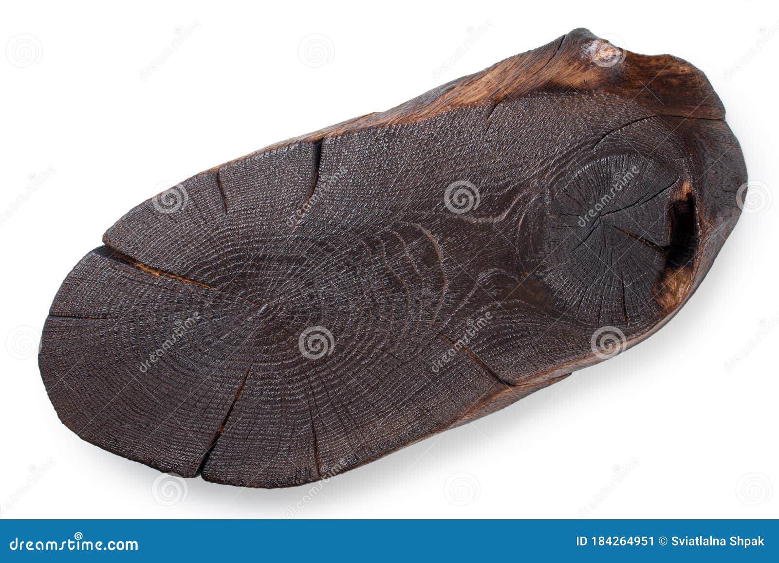 Oak Cutting Board, Burnt Log Slice Cutted Tree Trunk Isolated on White ...