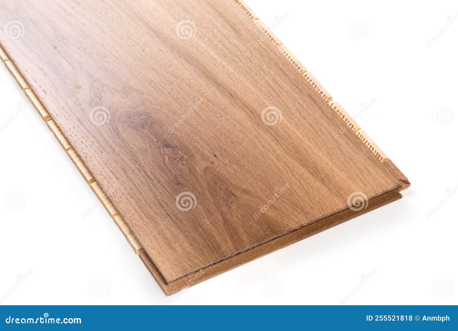 Oak Engineered Wood Flooring Board, Fragment Close-up Stock Photo ...