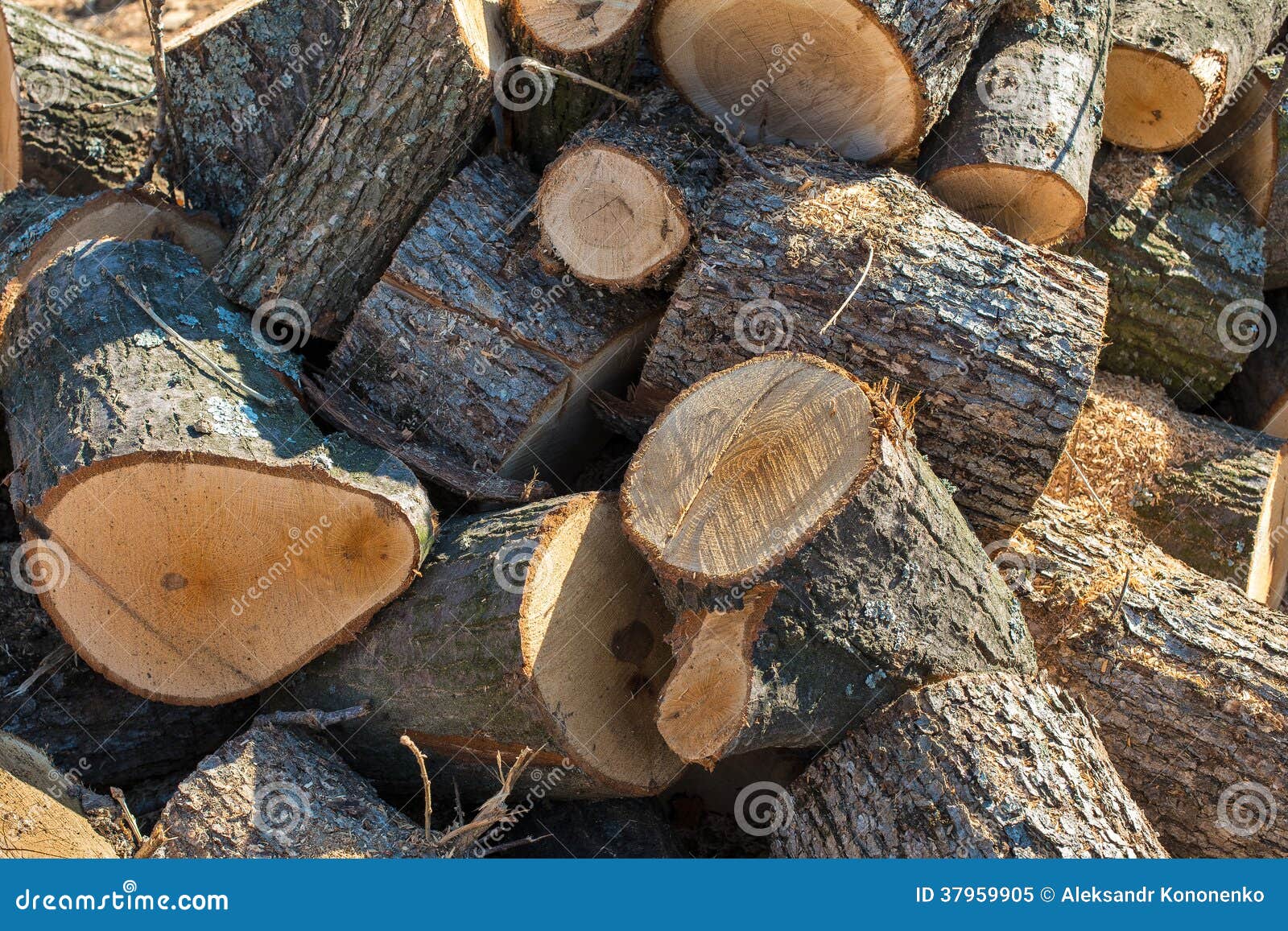 Oak firewood stock image. Image of wood, piece, stump - 37959905