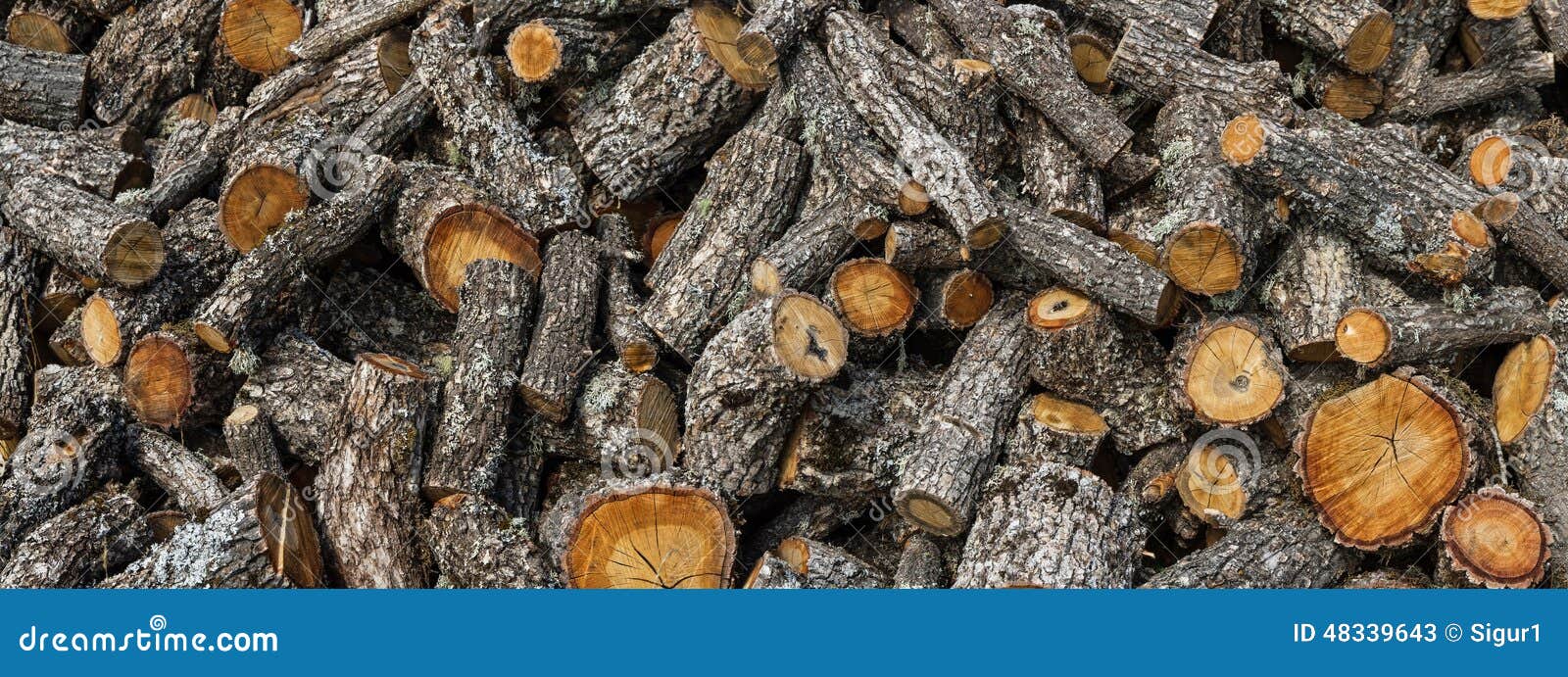 Oak Firewood Cut stock image. Image of traditional, panorama - 48339643