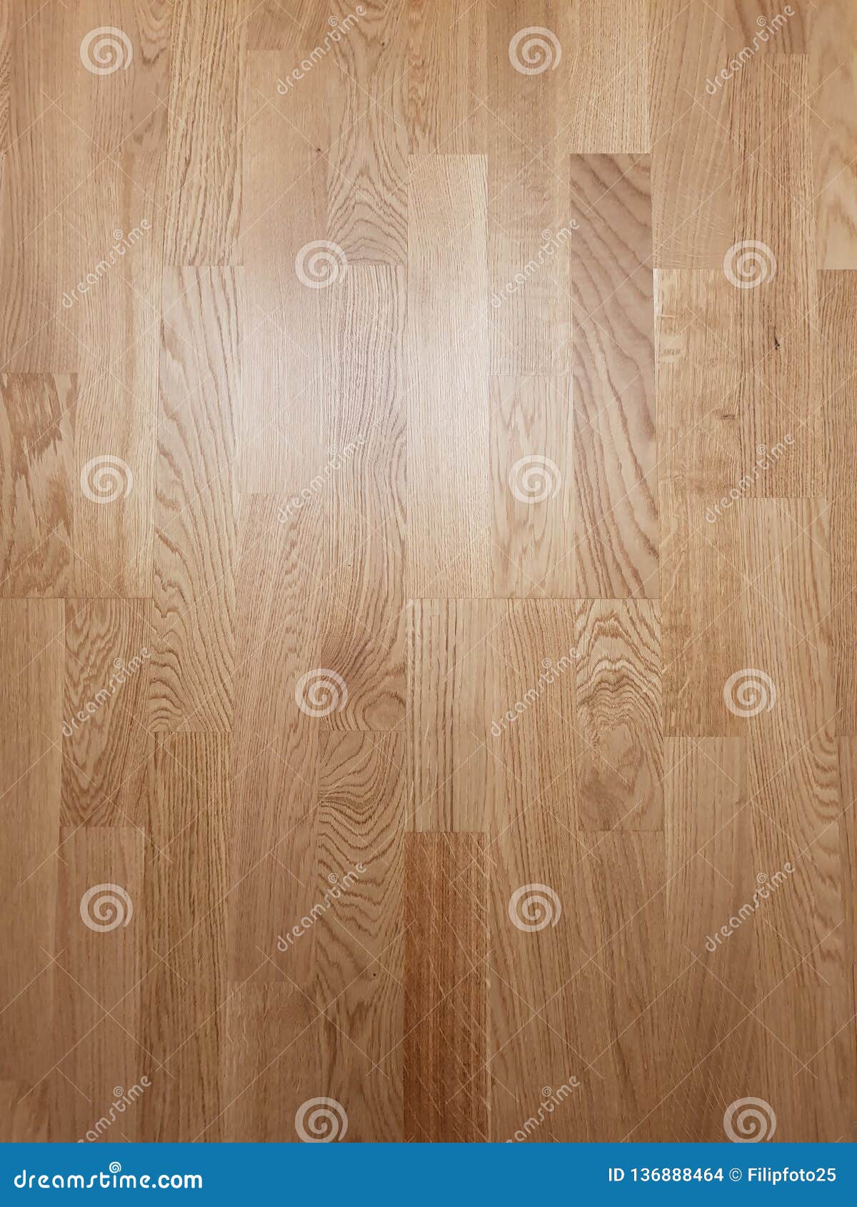 Oak floor stock photo. Image of pattern, lumber, flooring - 136888464