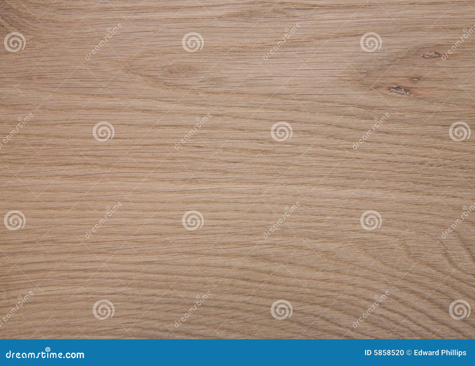 Oak Flooring Panel stock photo. Image of detail, pattern - 5858520