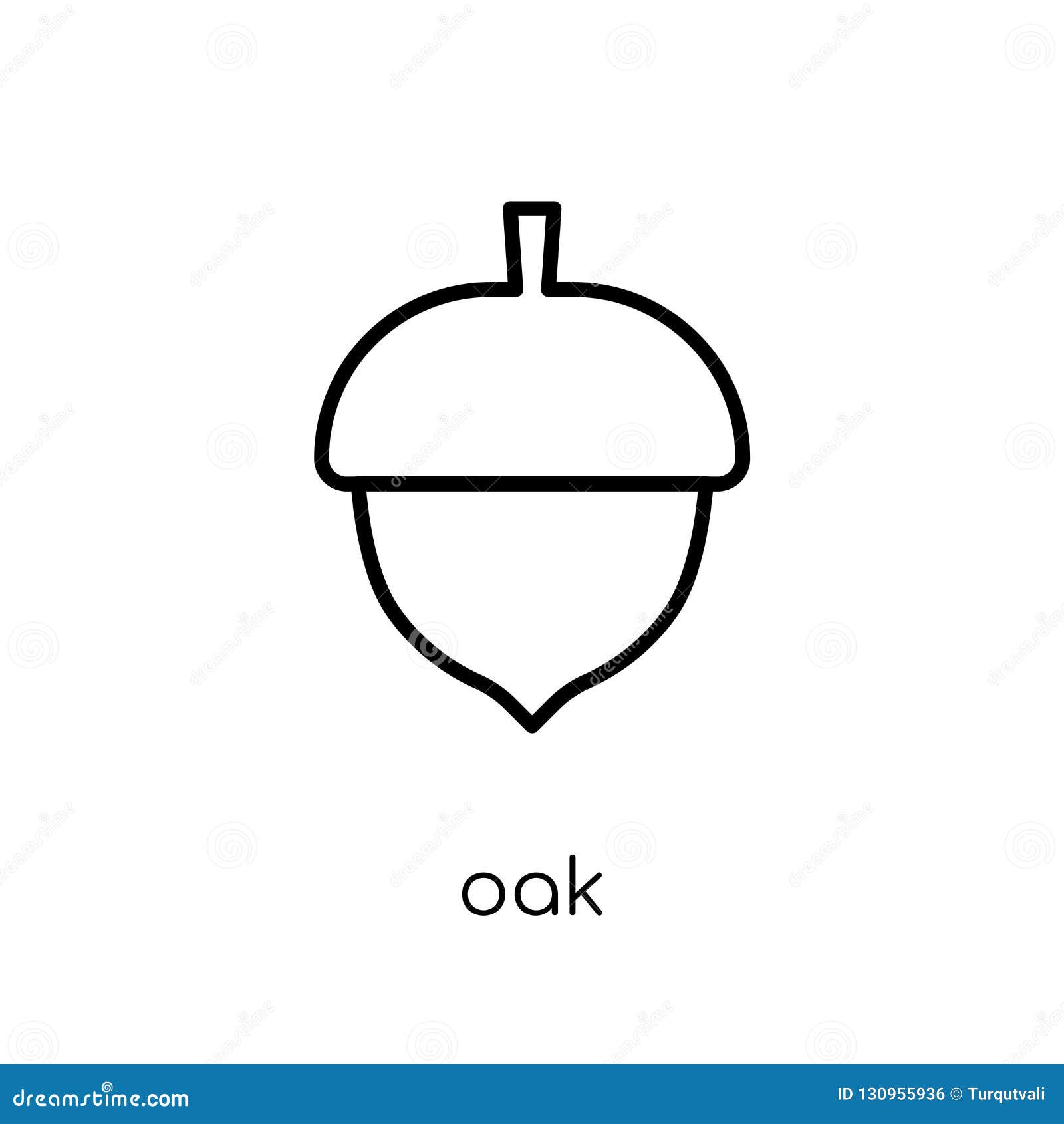 Oak Icon. Trendy Modern Flat Linear Vector Oak Icon on White Background ...