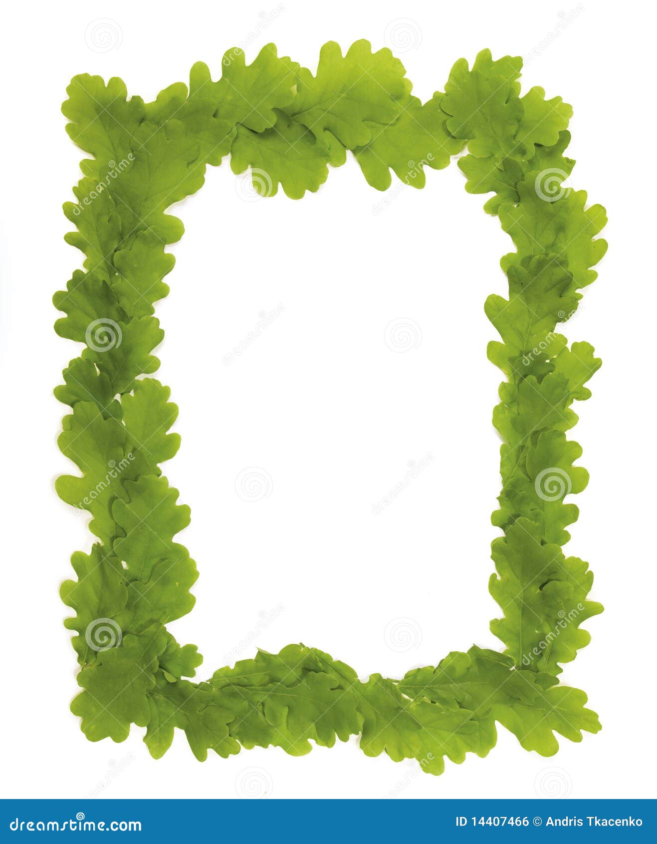 Leaf Frame. Autumn Maple Leaves Isolated On White Background. Fall ...