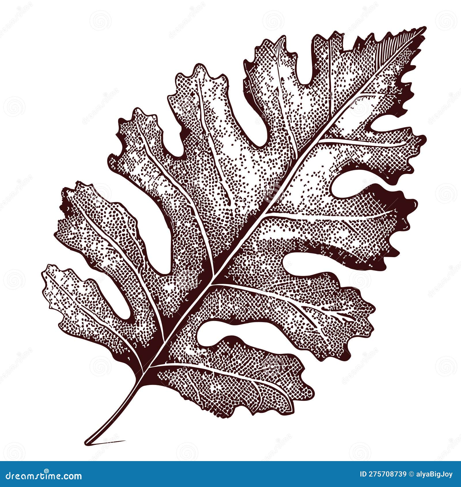 Oak Leaf Hand Drawn Sketch Trees and Plants Vector Illustration Stock ...