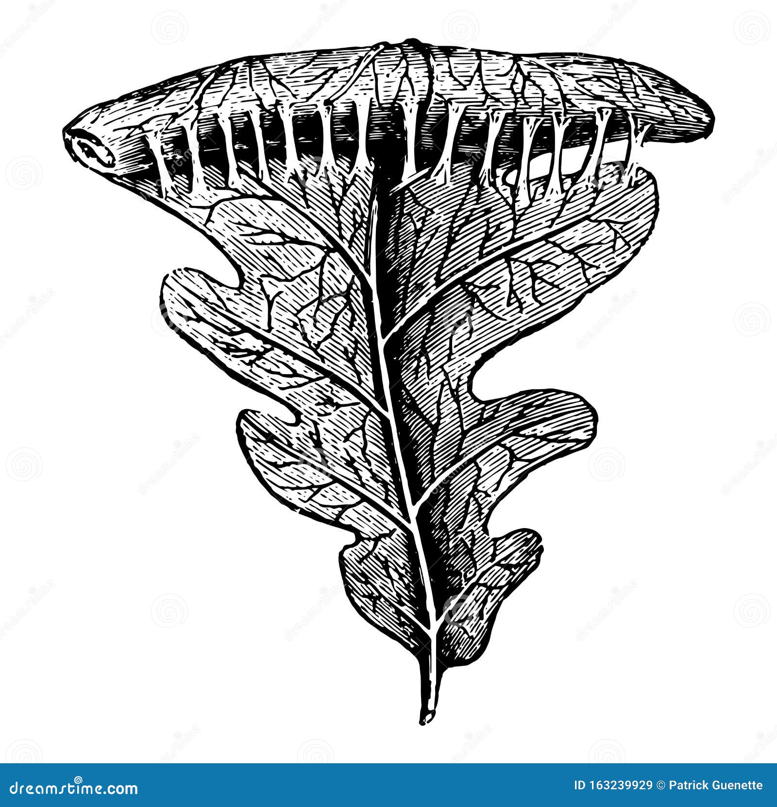 Perpendicularly Stock Illustrations – 31 Perpendicularly Stock ...